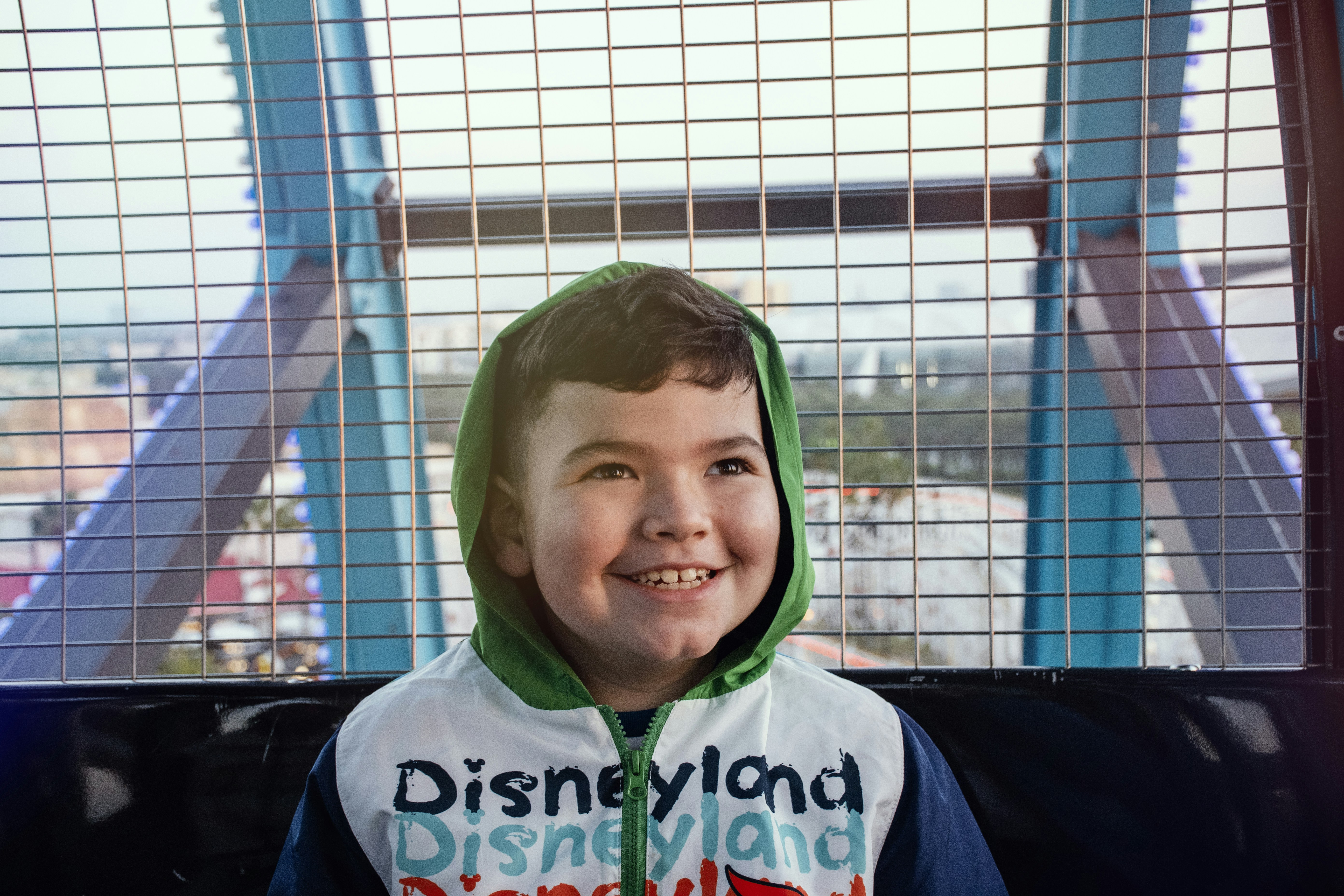 Joyful Ride on the Ferris Wheel