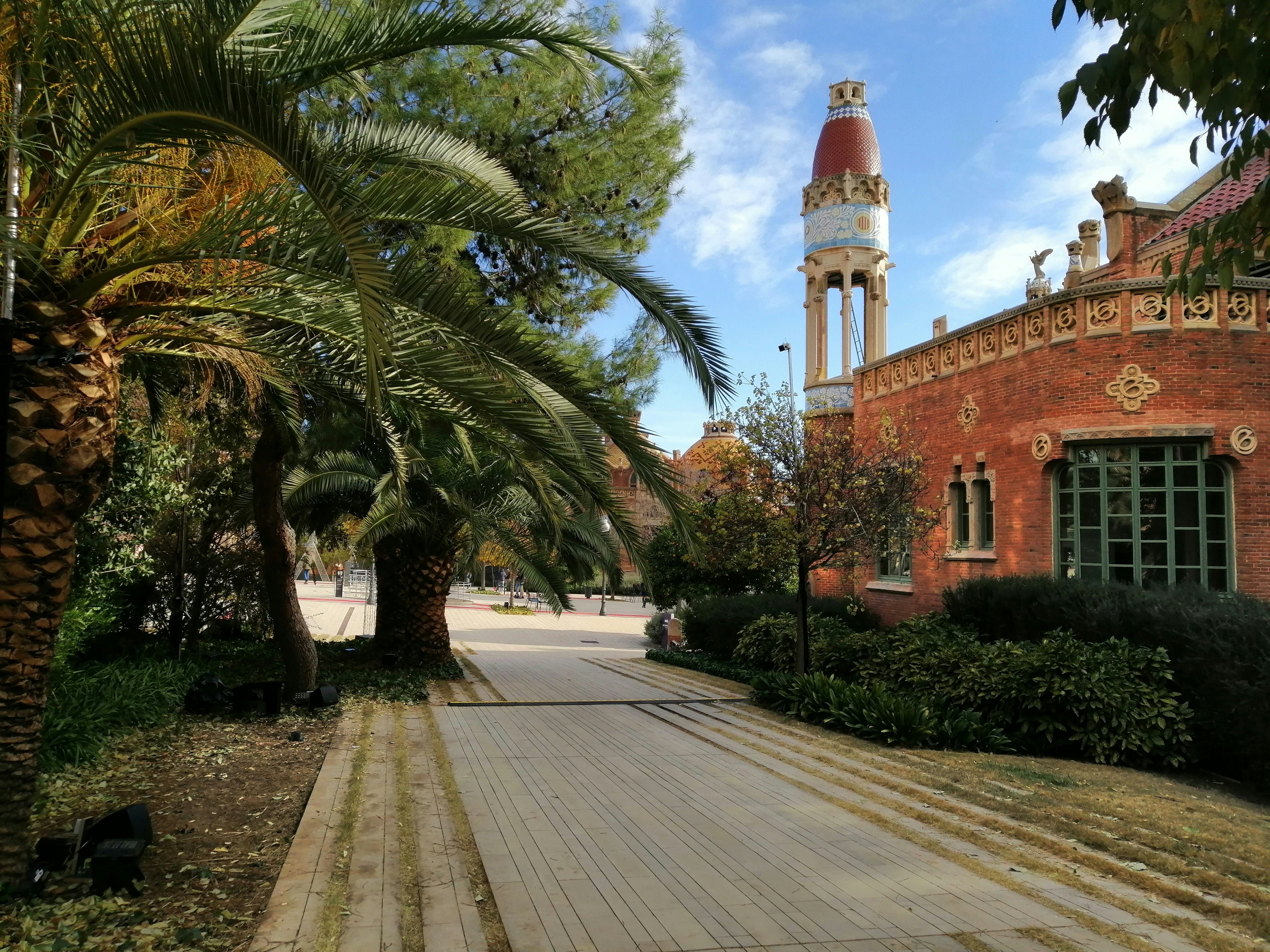 Lush palm trees frame a pathway leading to a historic building with intricate details and a striking tower. The scene captures a tranquil moment in a vibrant urban setting.