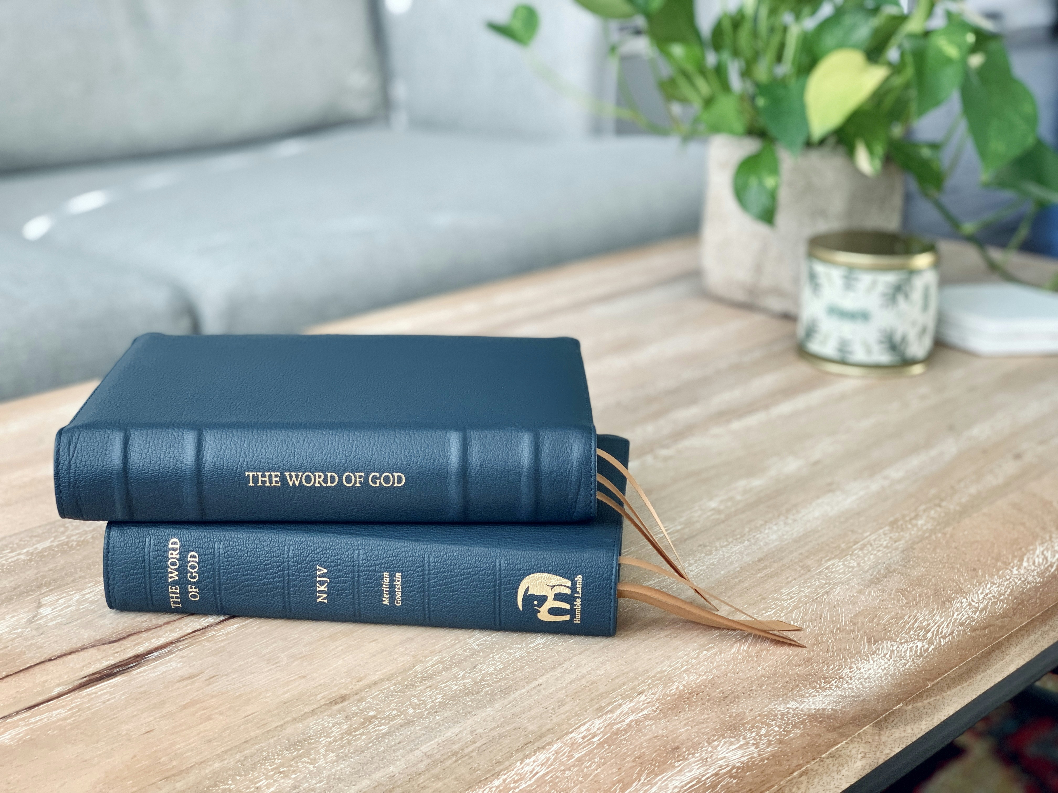 Blue Bible Volumes on a Warm Wooden Table