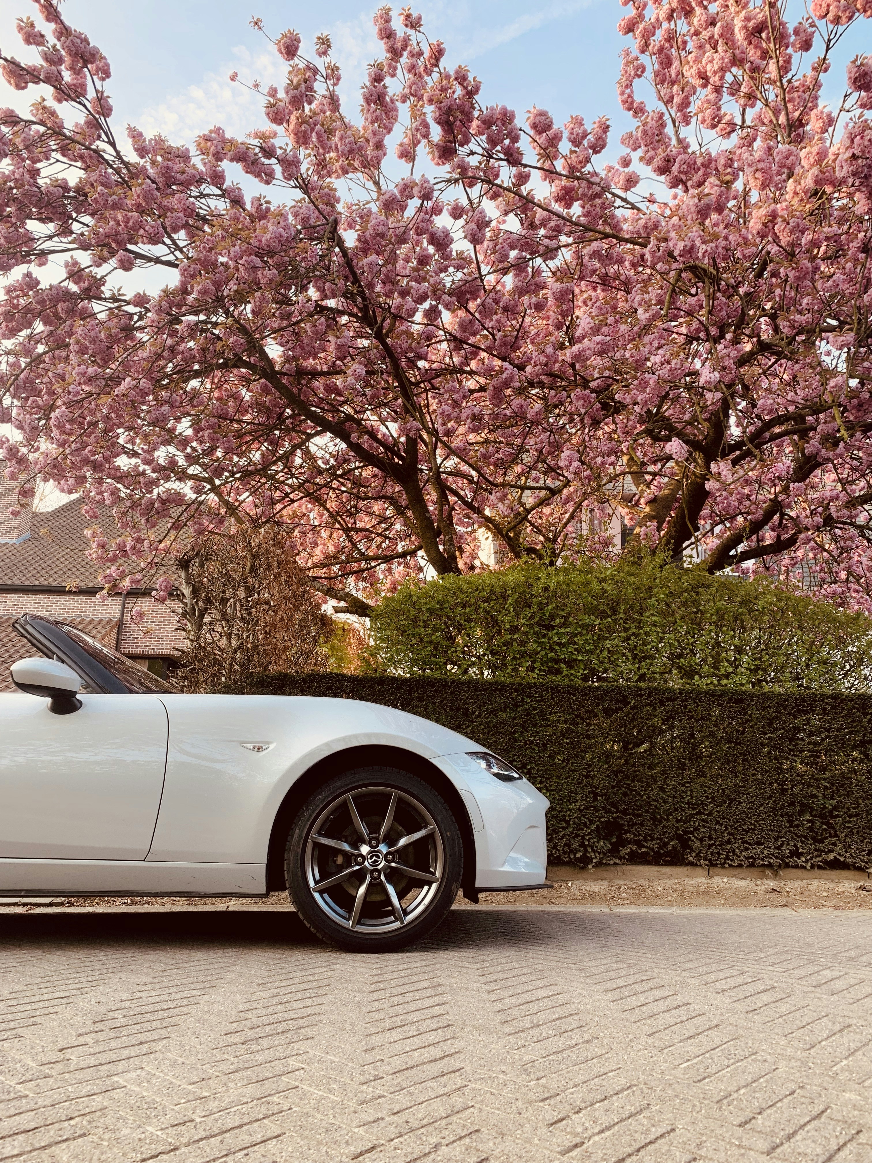 a white sports car parked in front of a flowering tree
