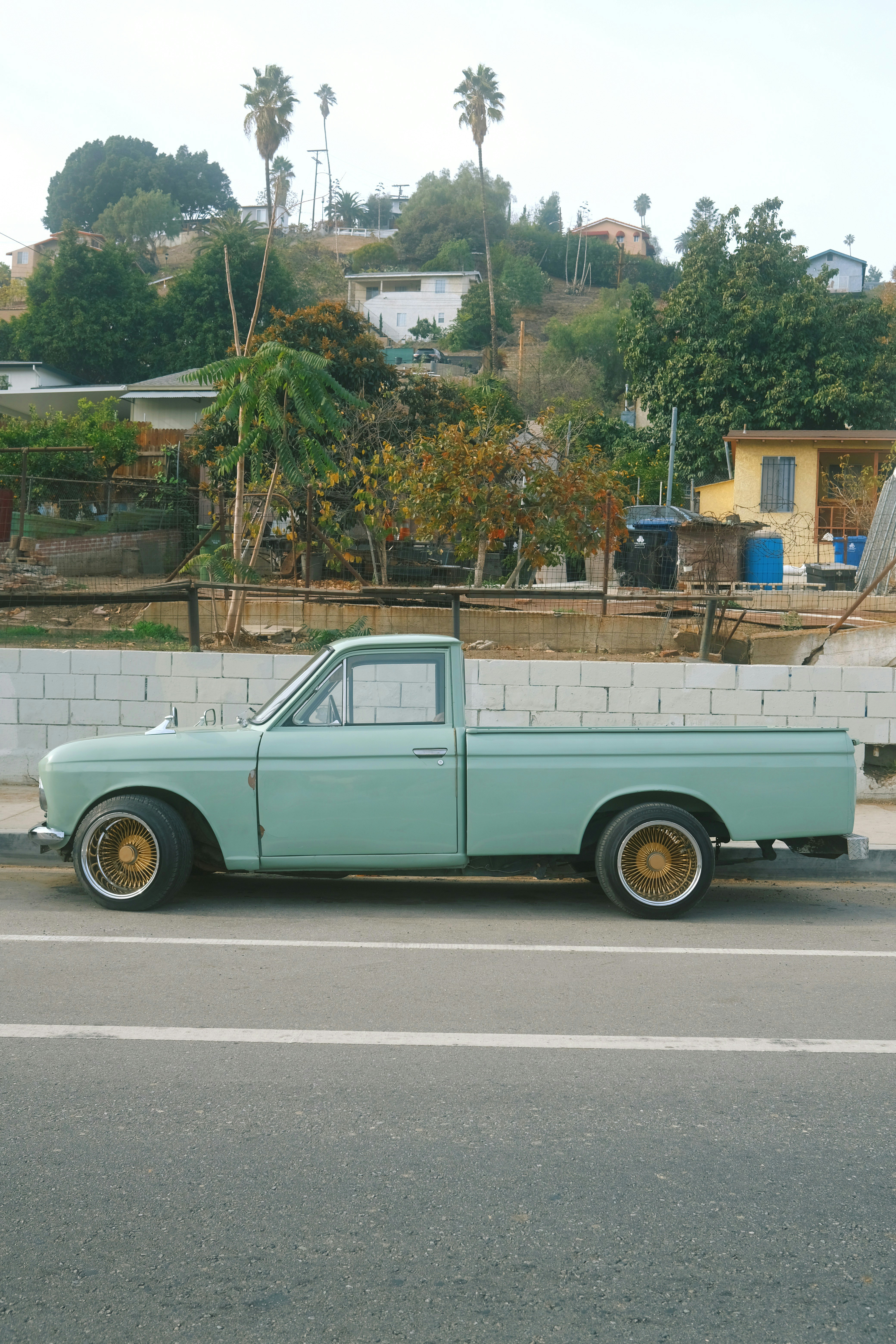 A mint green vintage pickup truck parked alongside a residential street, framed by lush greenery and distant hills.