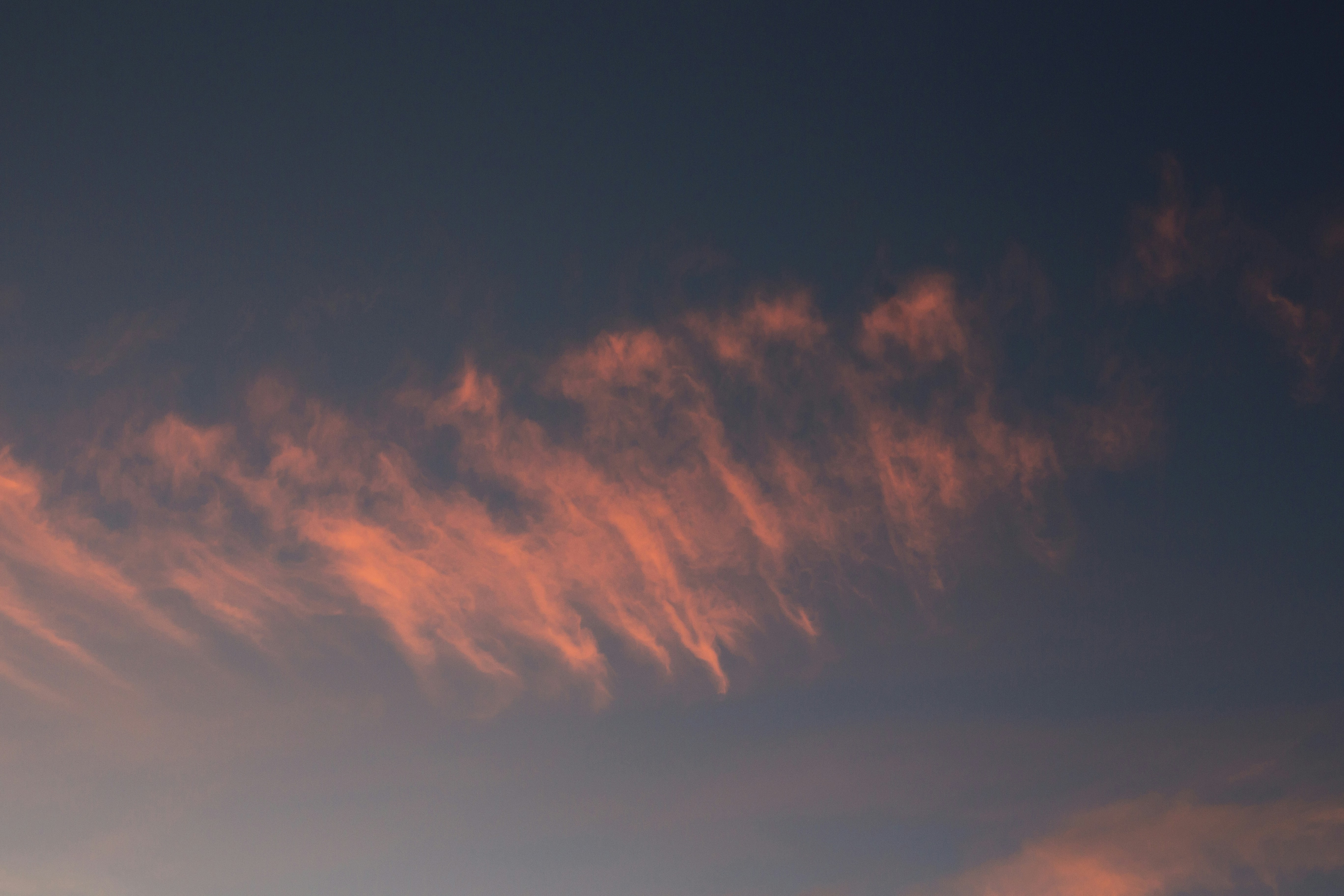 1500+ Unspalsh Pictures | Download Free Images on Unsplash