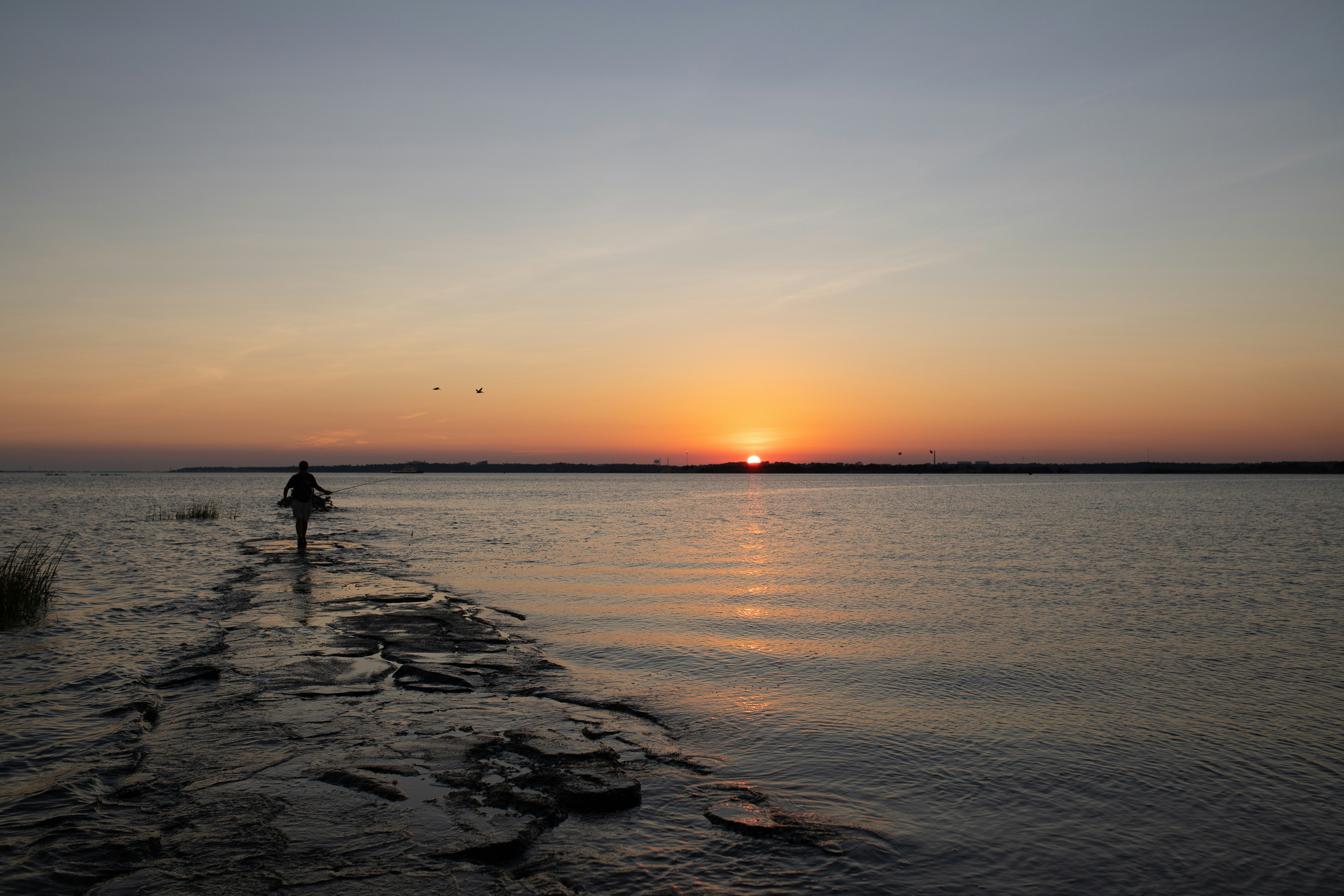 A person standing on the edge of a body of water photo – Free Water Image on Unsplash