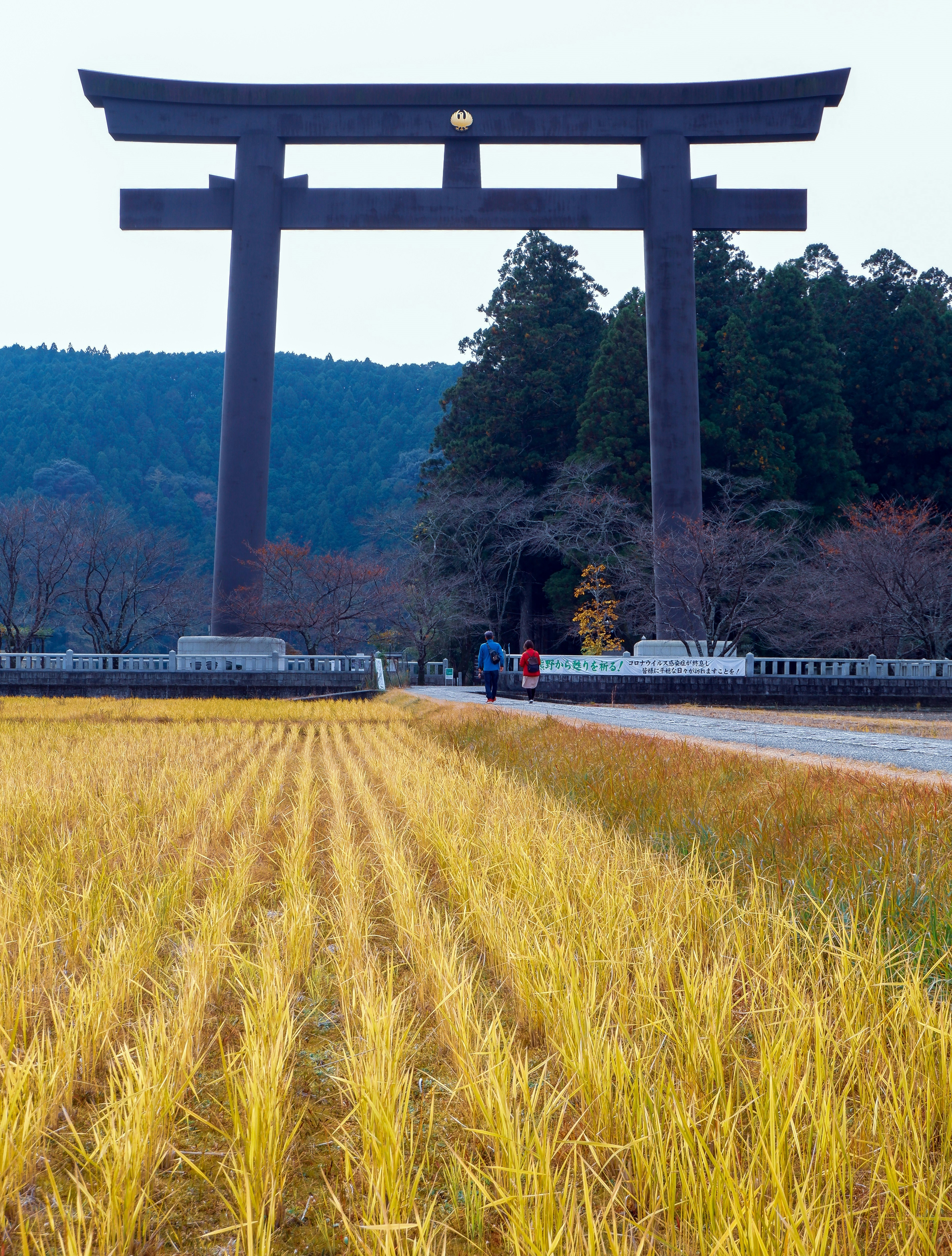 A majestic torii gate stands tall against a backdrop of lush mountains, framed by golden rice fields in the foreground.