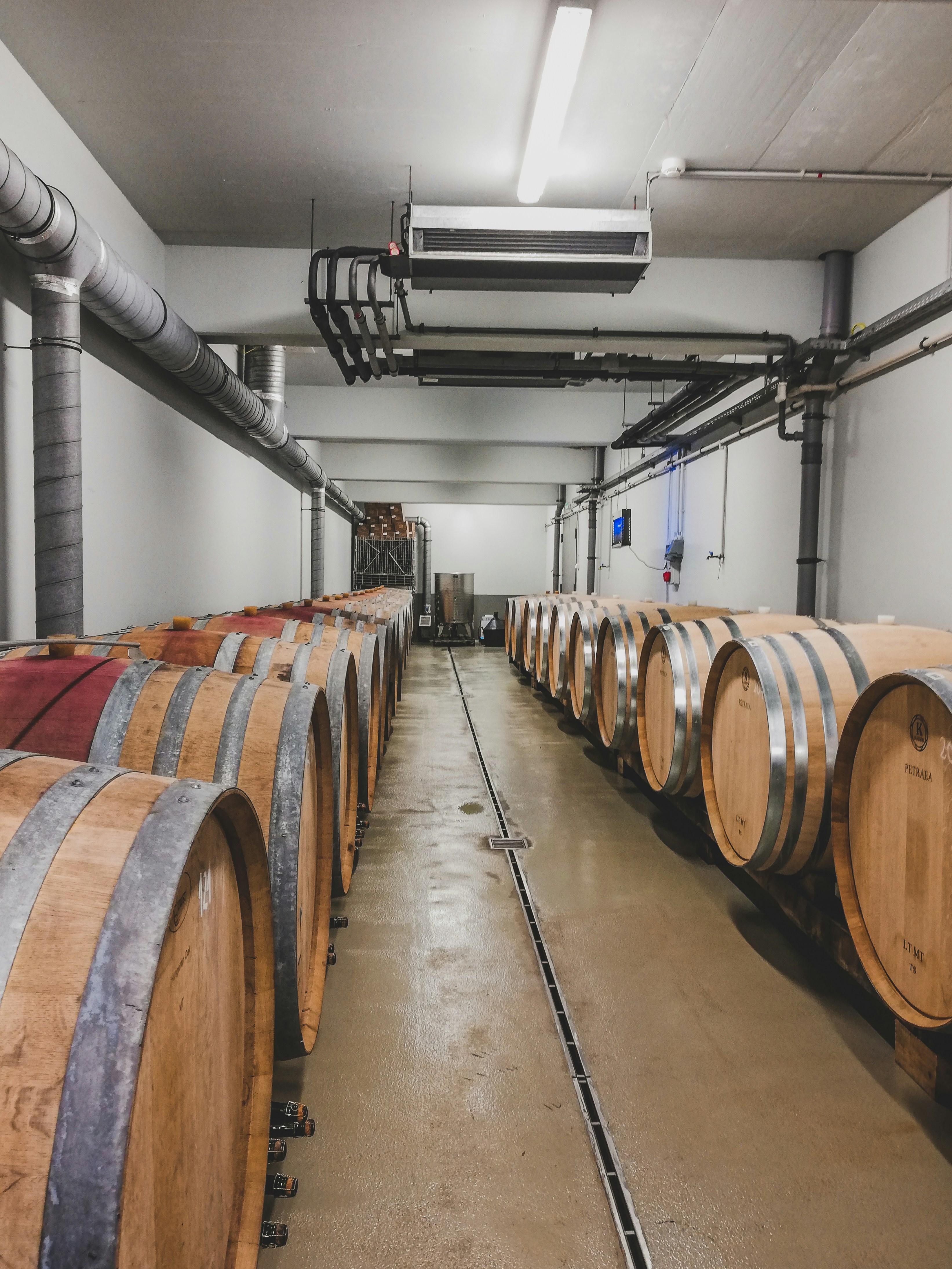 A row of wine barrels in a wine cellar photo – Free Building Image on ...