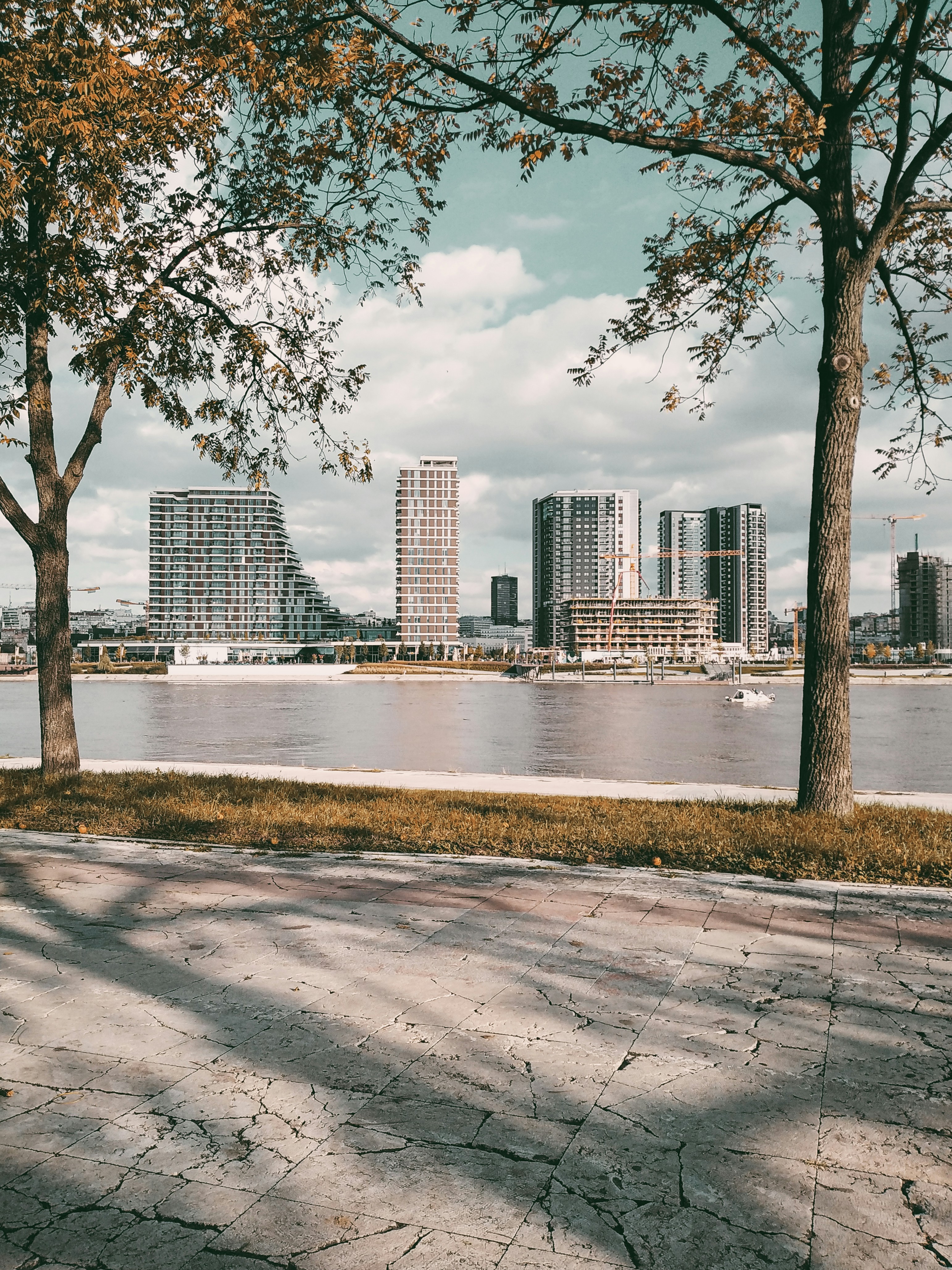 Modern skyscrapers lining a tranquil waterfront, framed by trees, with a hint of autumn foliage. The scene captures the essence of urban life alongside nature.