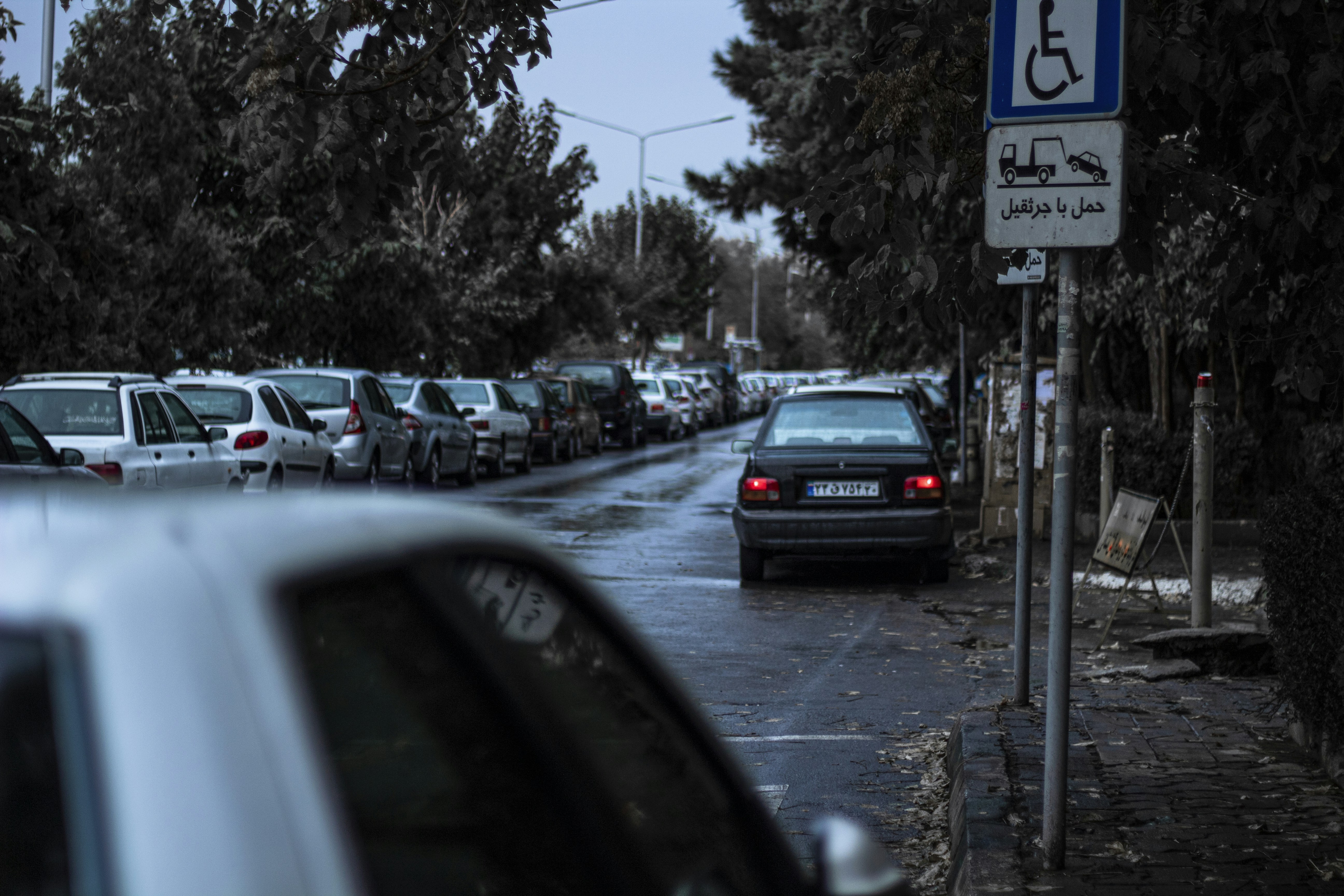 Overcast Street: A Quiet Queue of Cars Along a Rainy Parking Lane
