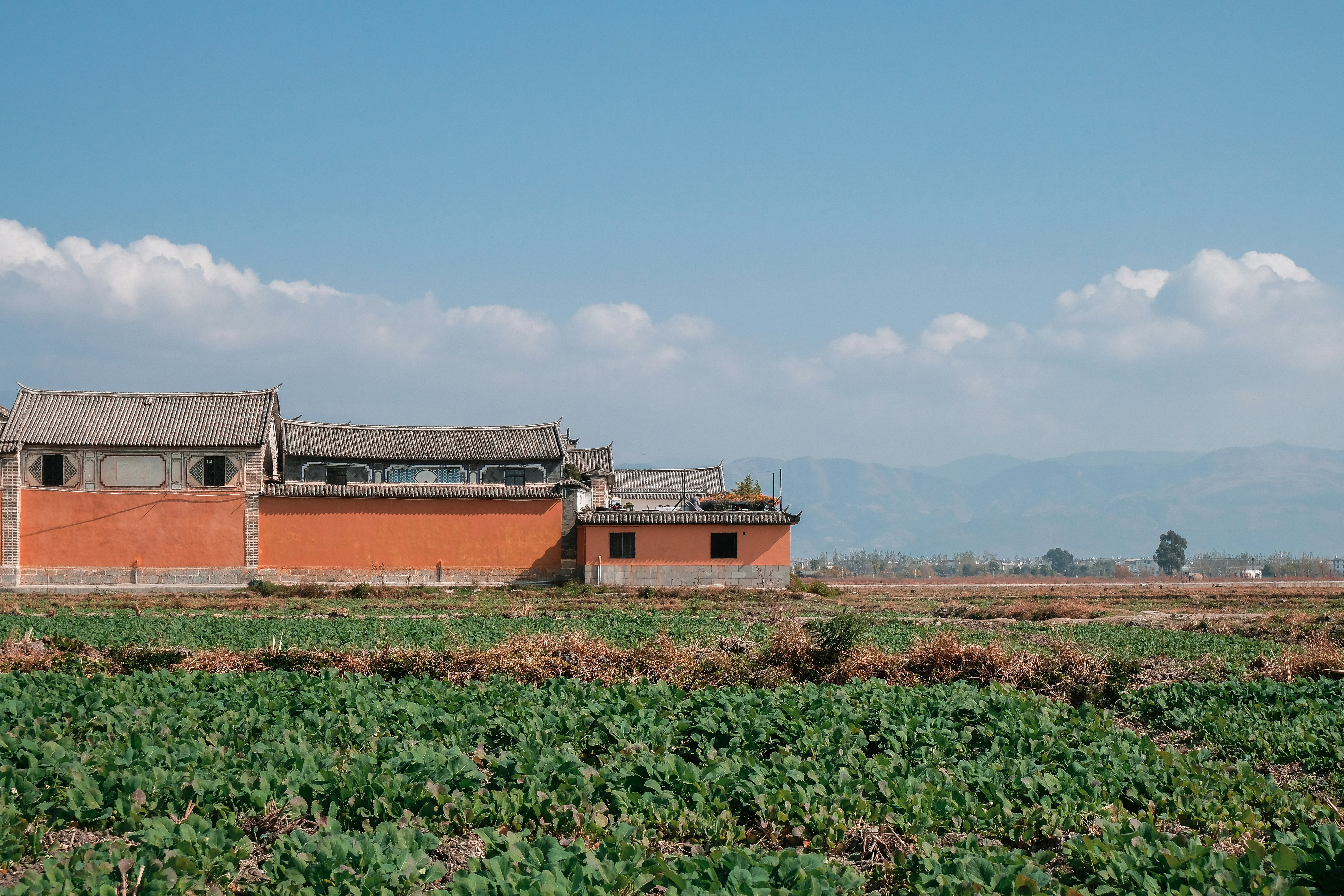 Brick buildings stand amidst green fields under a clear blue sky with distant clouds.