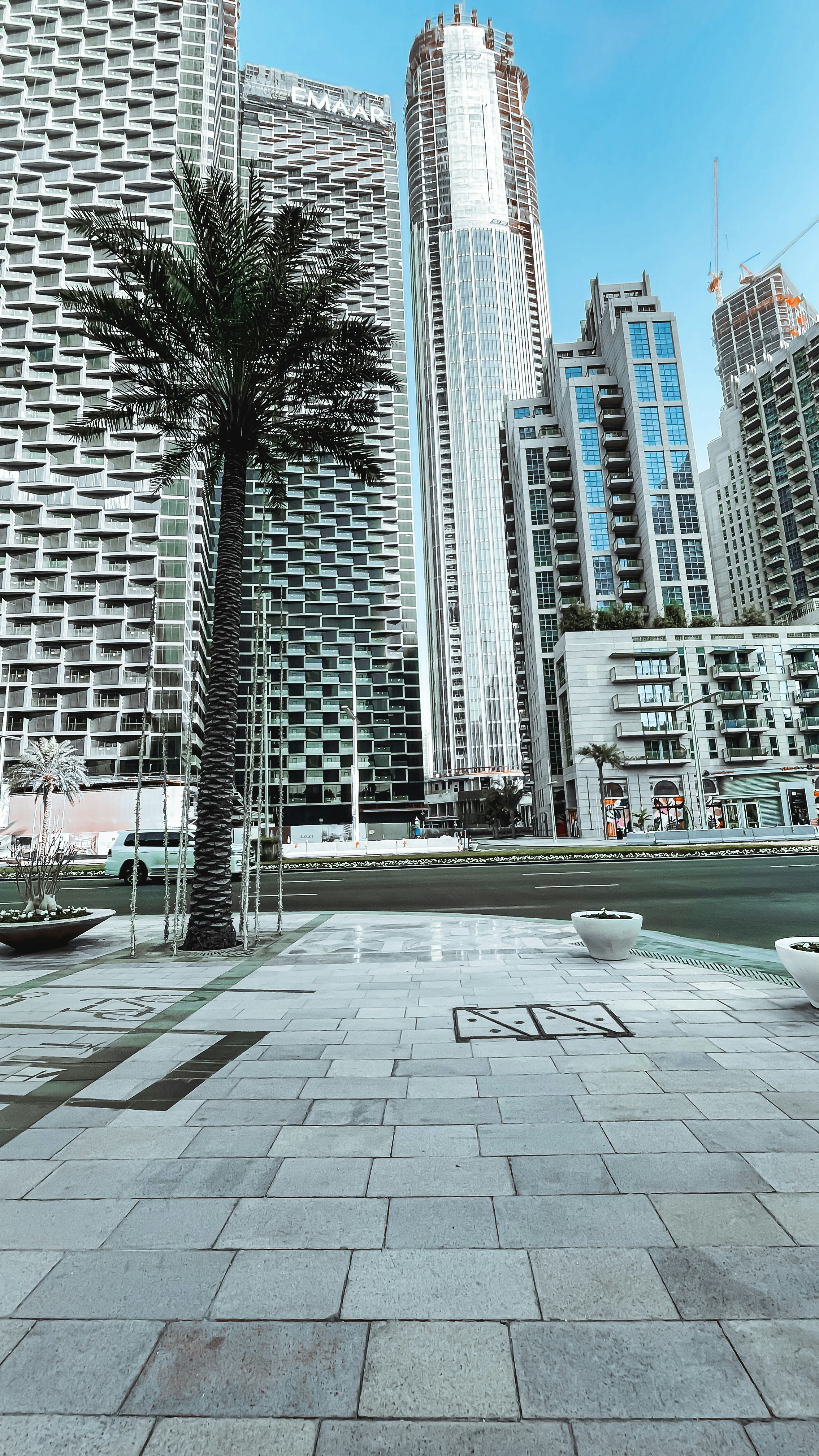 Urban Vista: Towering Facades and Palm Shadows