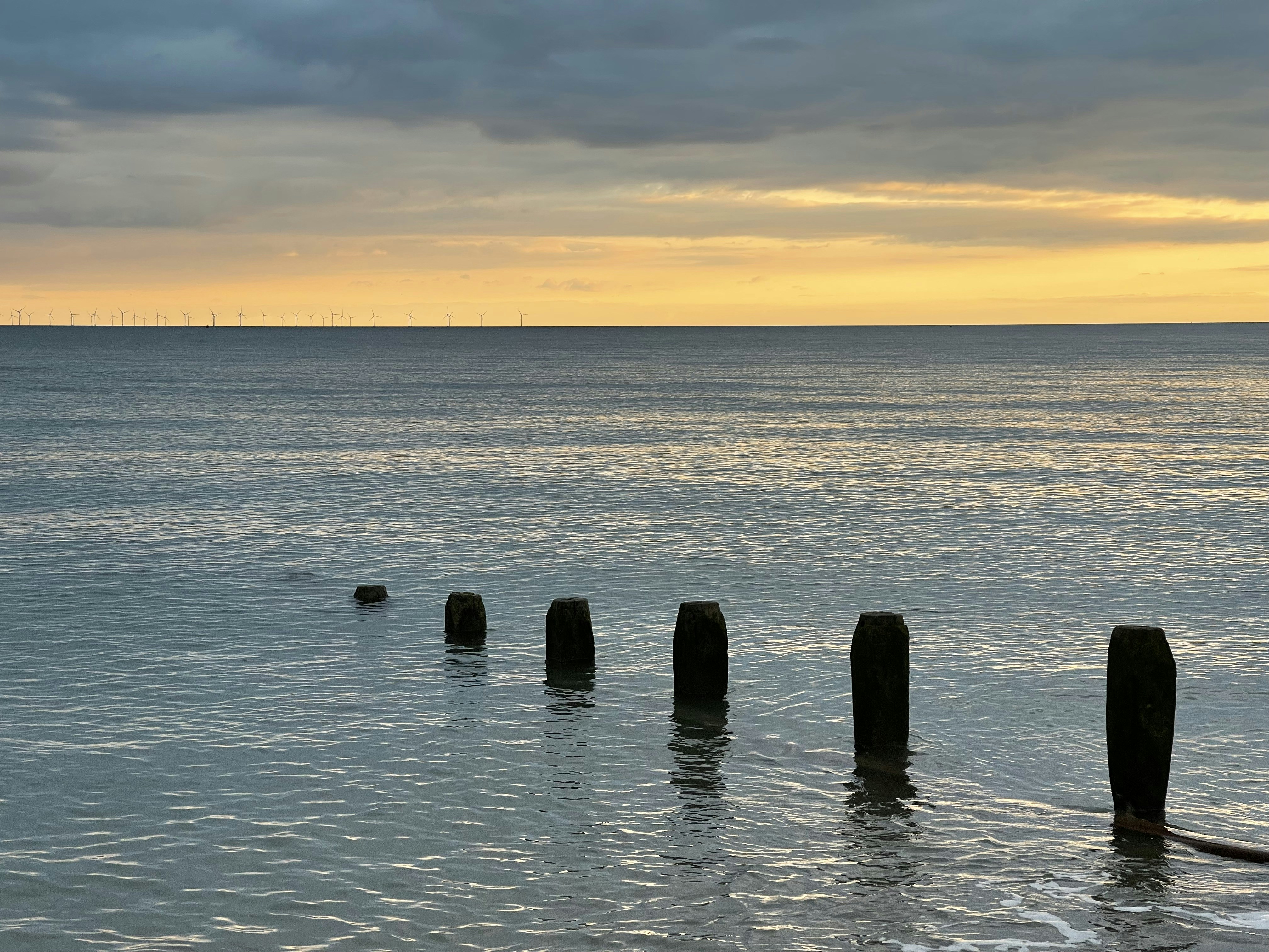 A body of water with a bunch of poles sticking out of it photo – Free ...