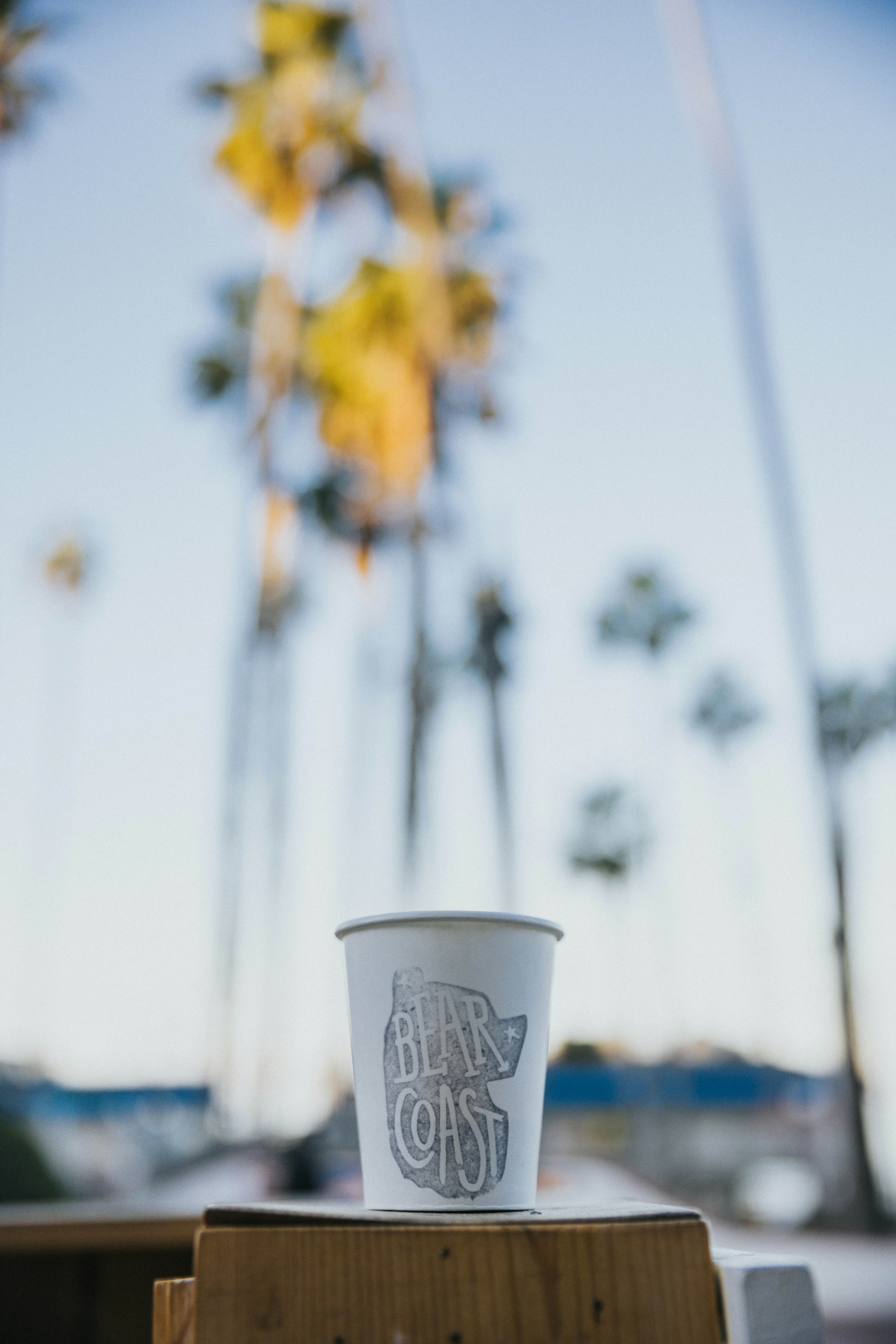 Center Cup, Palm Shadows: A Quiet Coastal Moment in Soft Focus