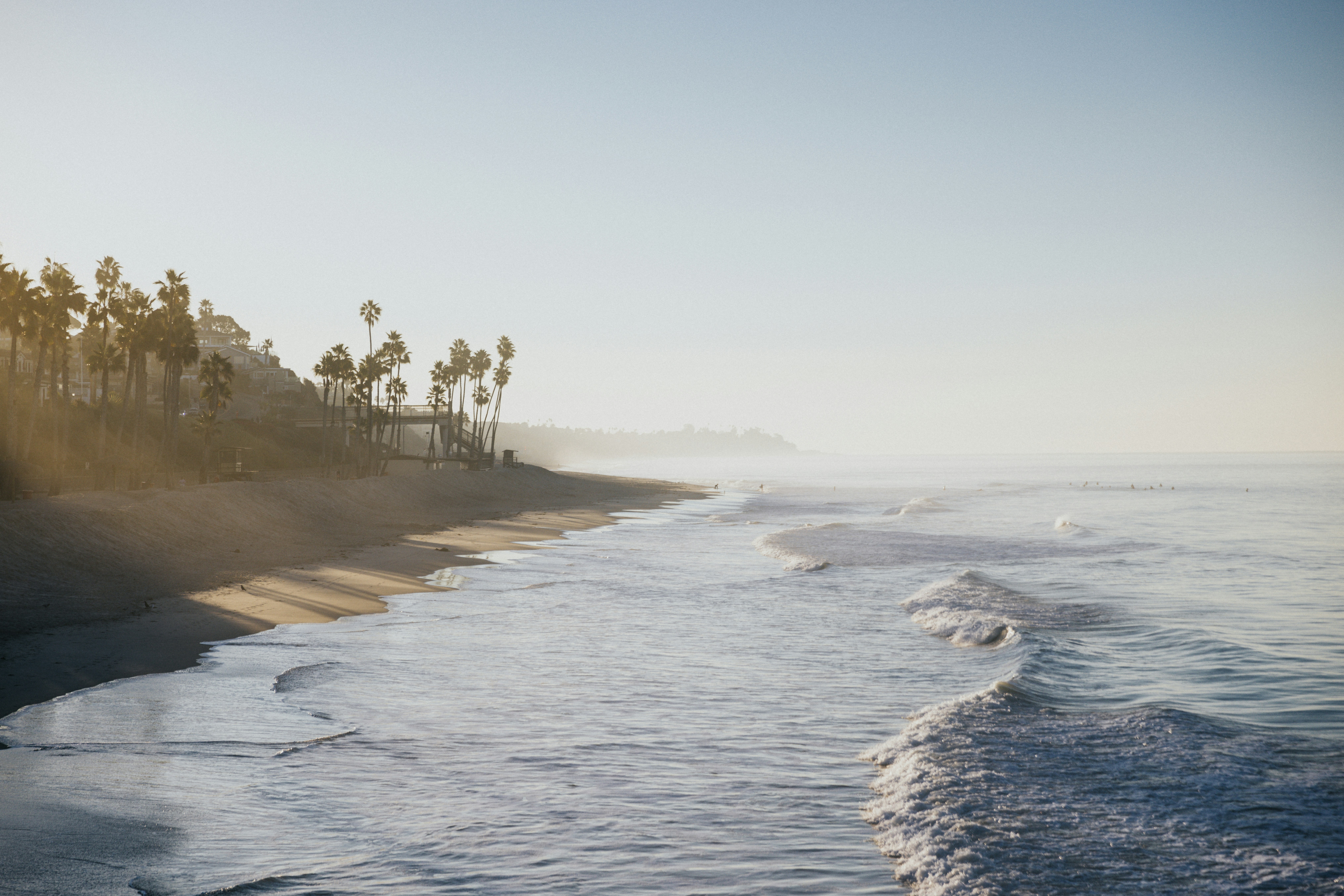 Gentle waves lapping against a sunlit beach lined with palm trees, capturing the serene essence of coastal tranquility.