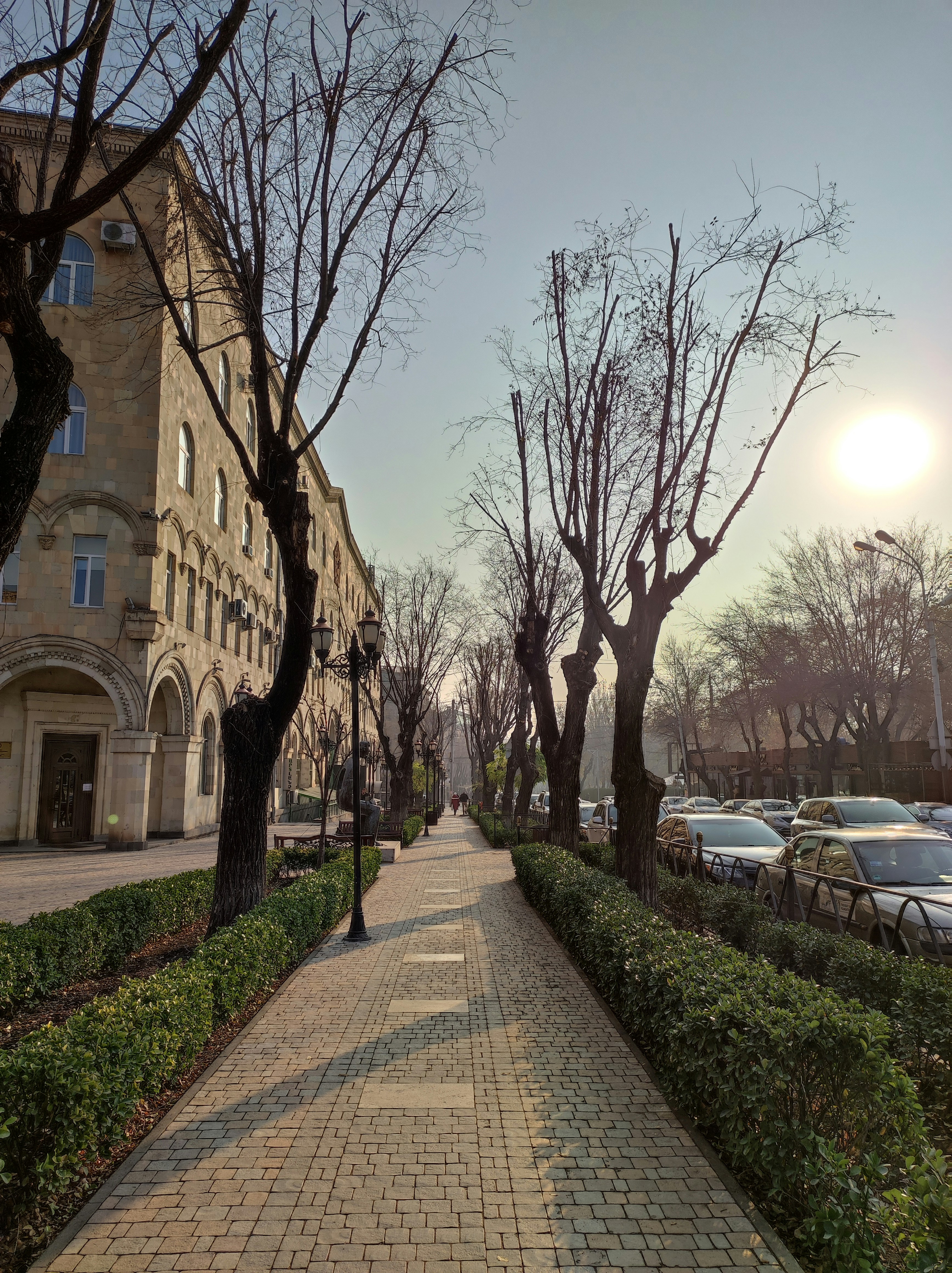 Tree-Lined Boulevard at Dusk with Historic Facade