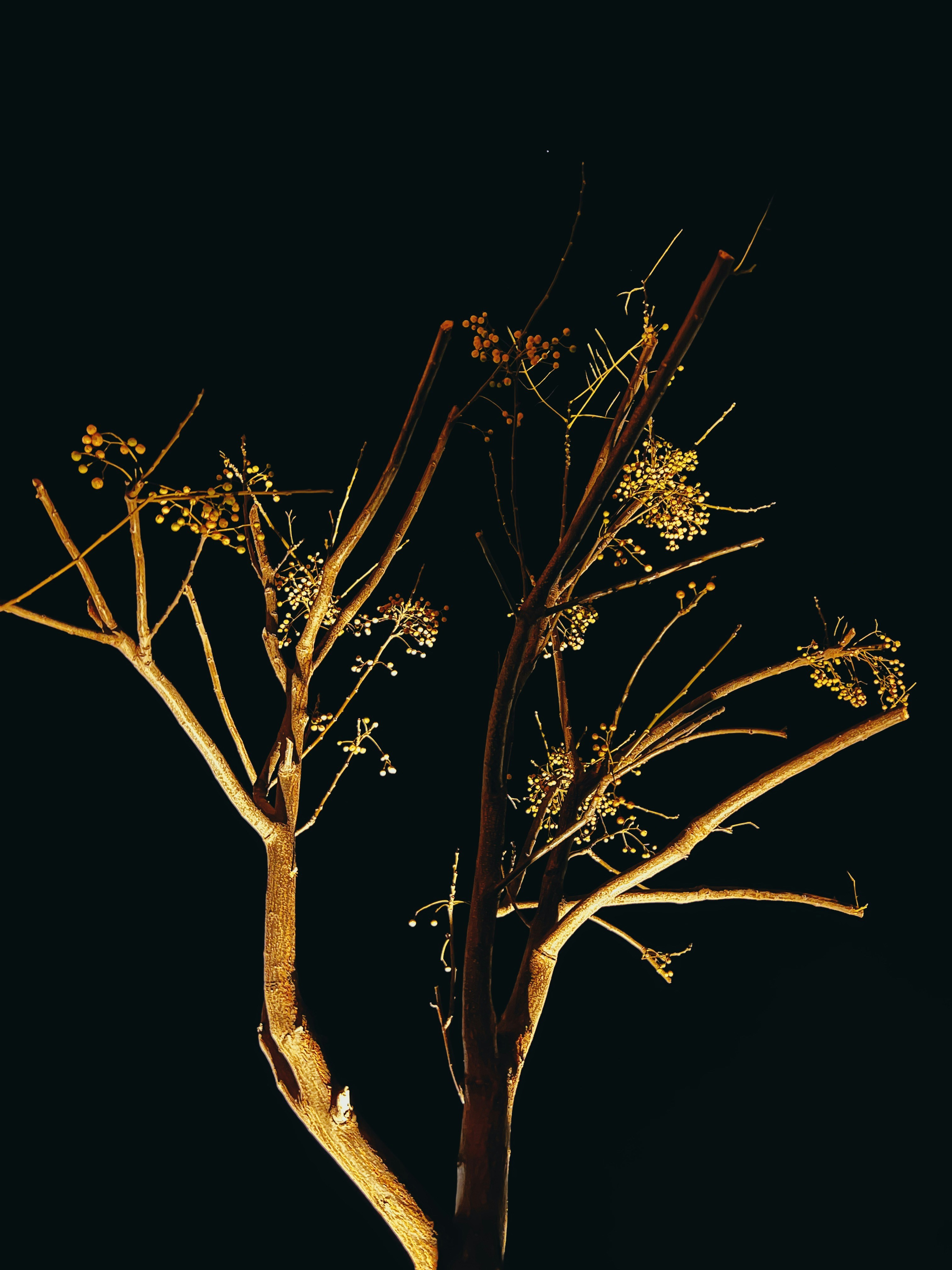 Photo by Orkhan Farmanli with Apple iPhone 13 Pro