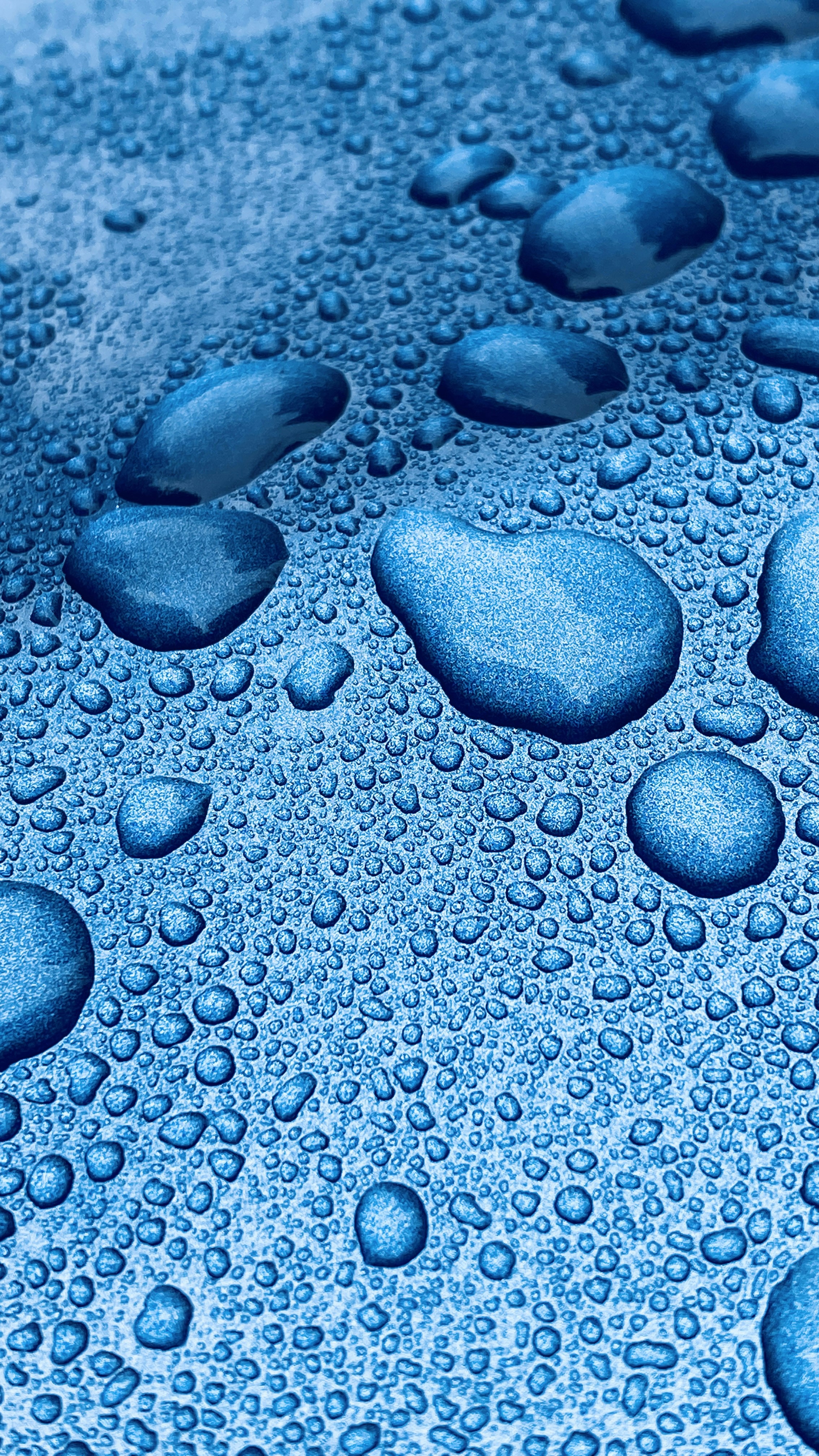 Blue Velvet Dew: A Macro Mosaic of Droplets
