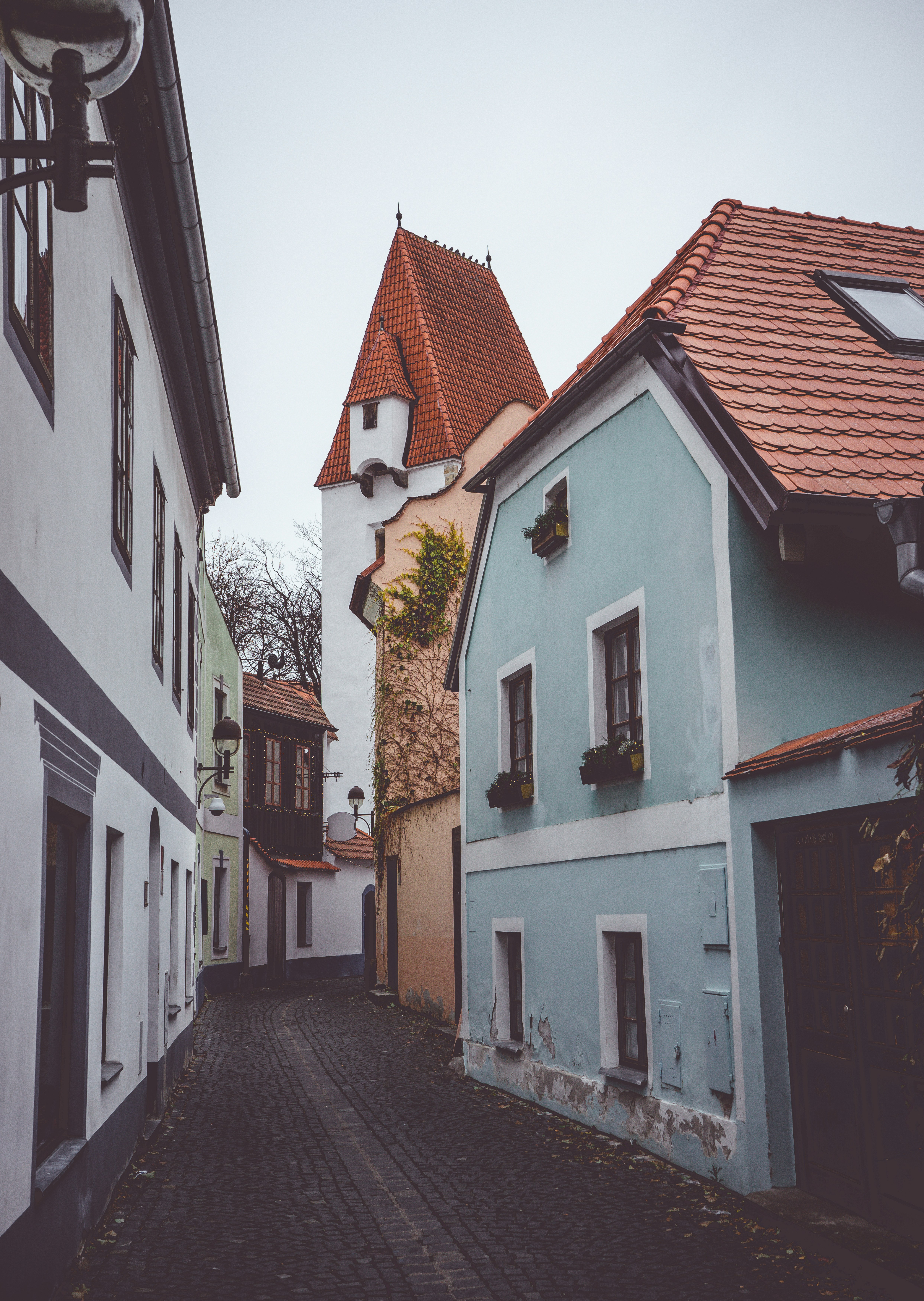 Narrow cobblestone street flanked by pastel-colored houses with steep red-tiled roofs.