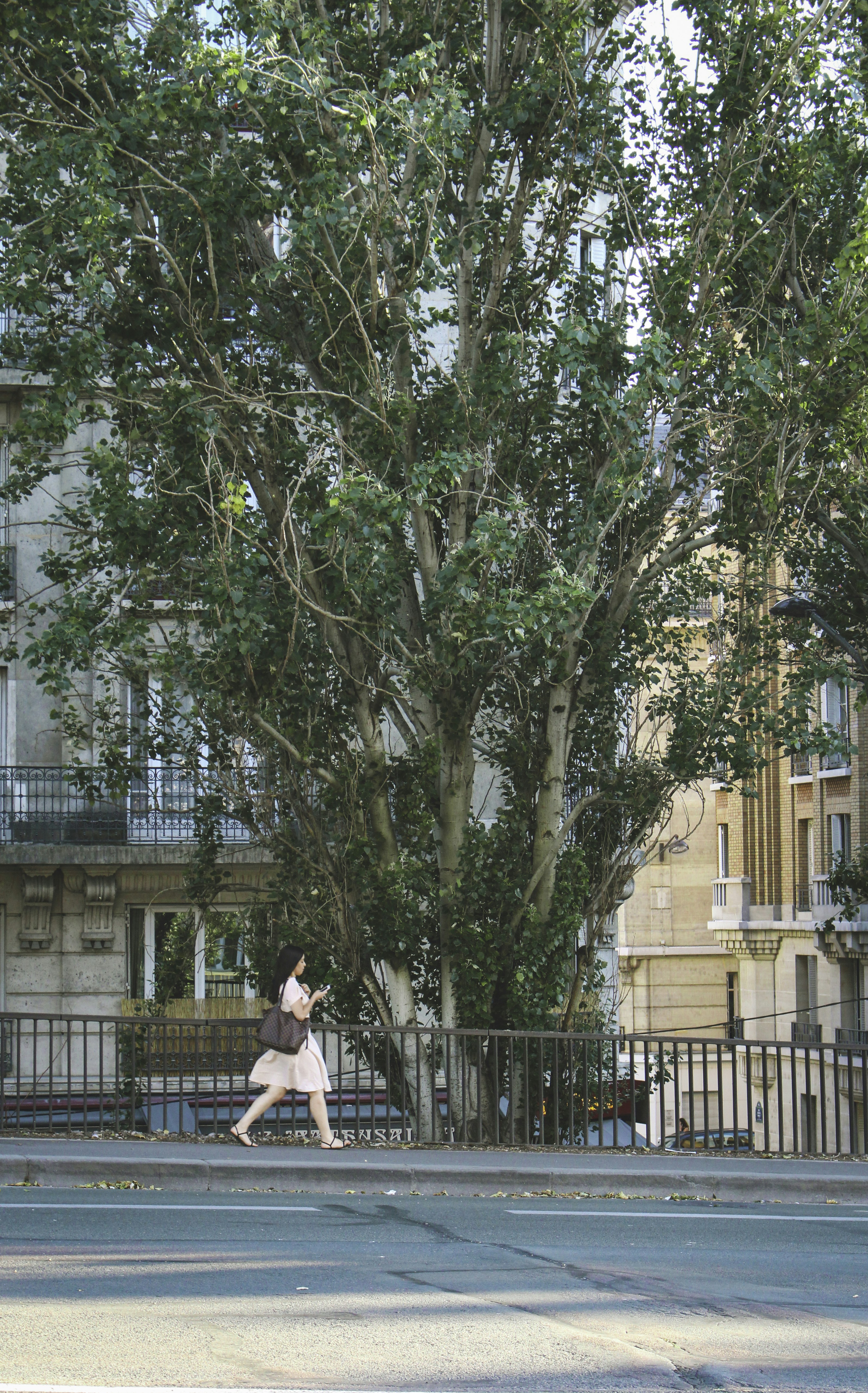 A man running down the street in front of a tree photo – Free France ...