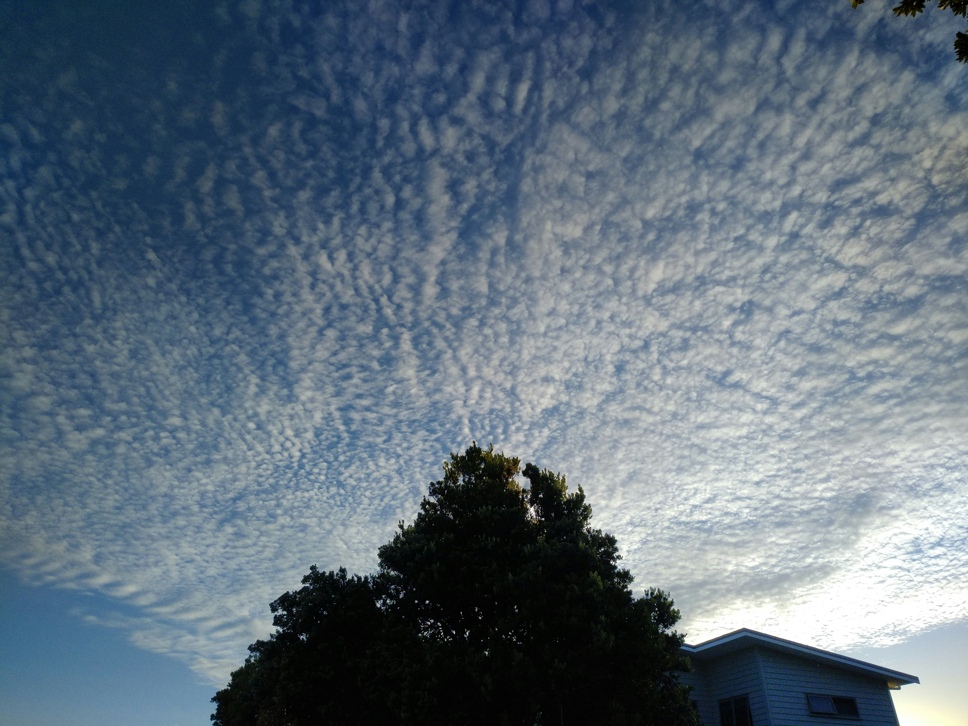 Dappled clouds stretch across the sky above silhouetted trees and a building in Plimmerton, New Zealand.