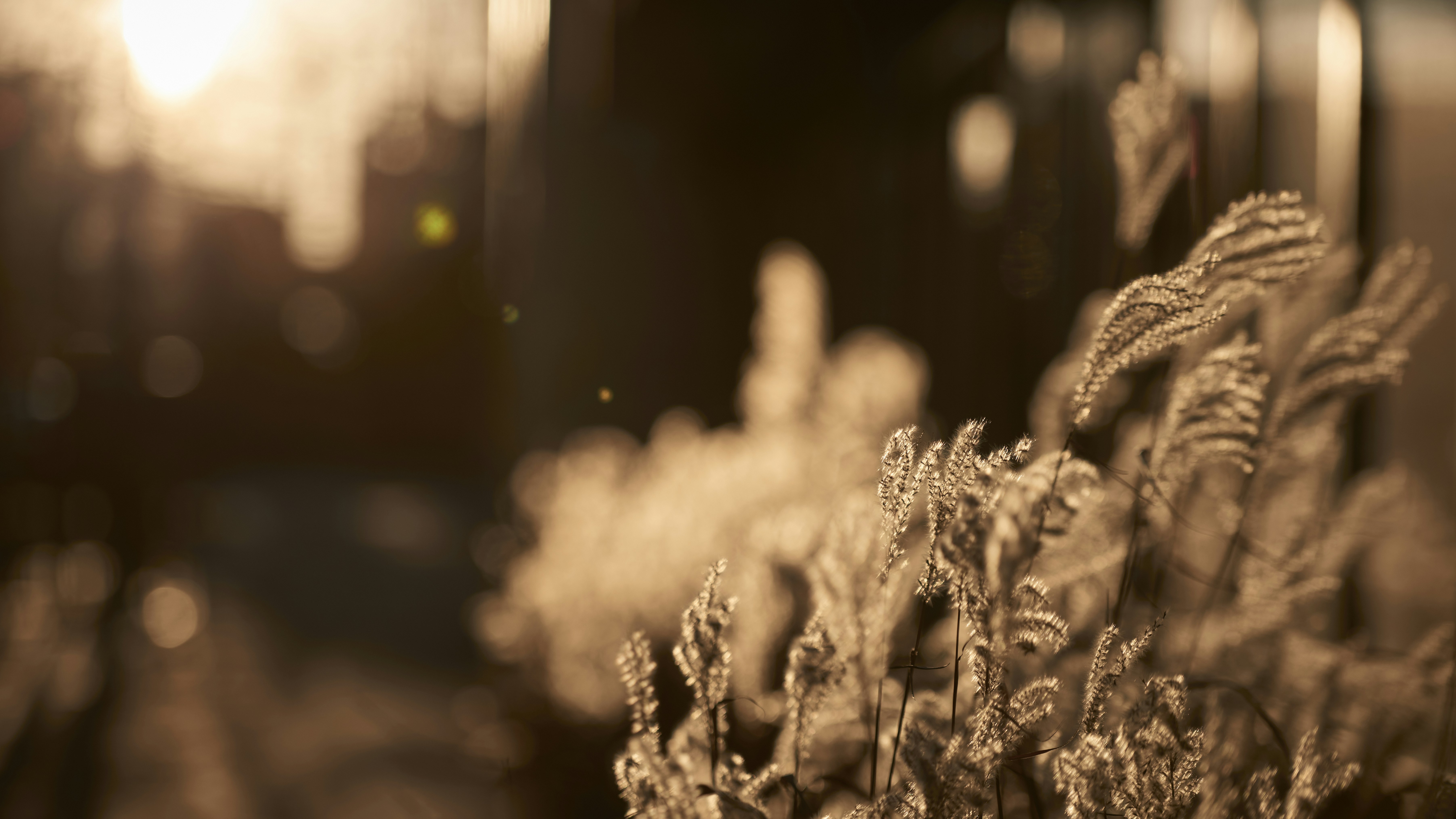 Kevin K (@kevinyu21) | Unsplash Photo Community