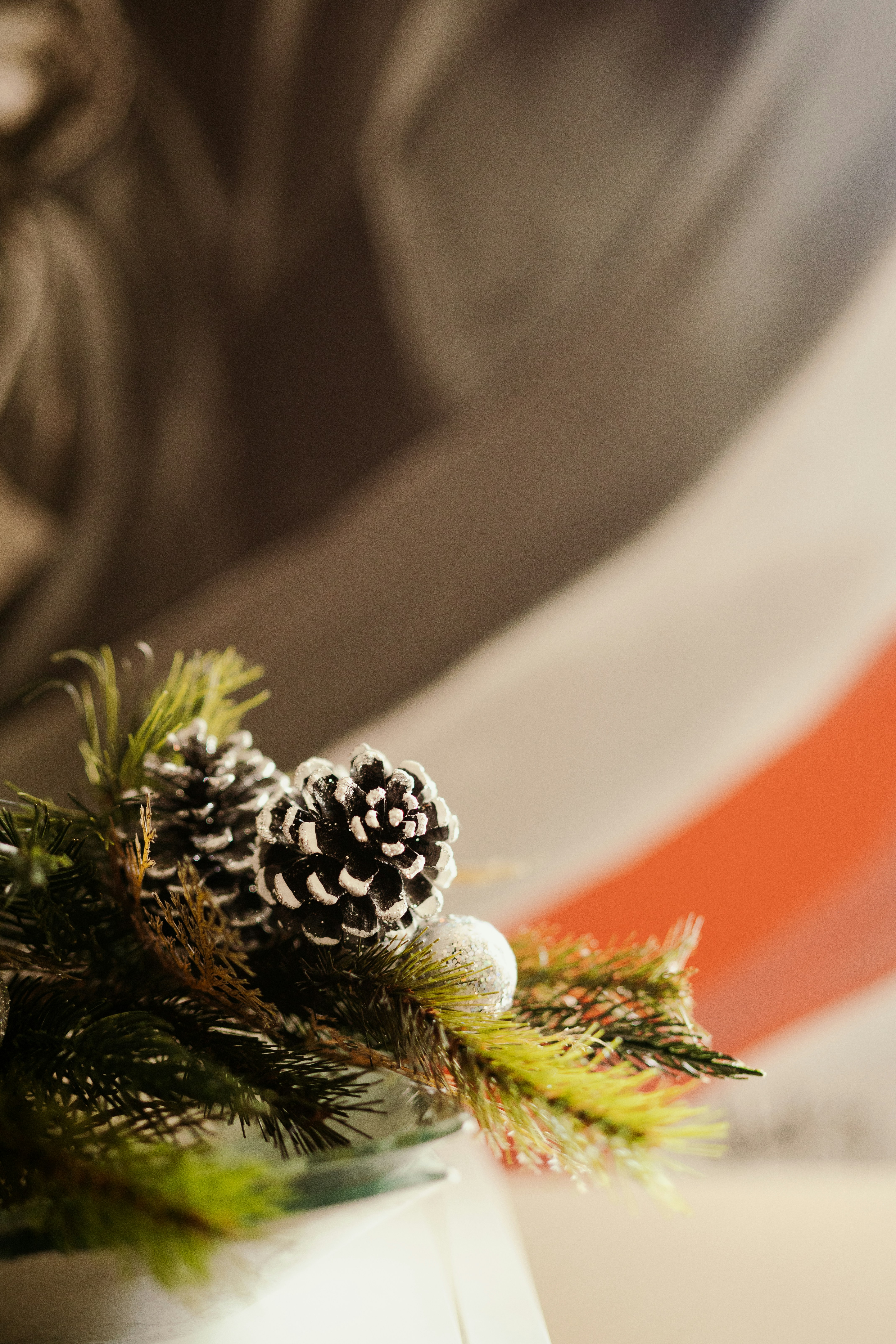 Winter's Embrace: A Festive Still Life