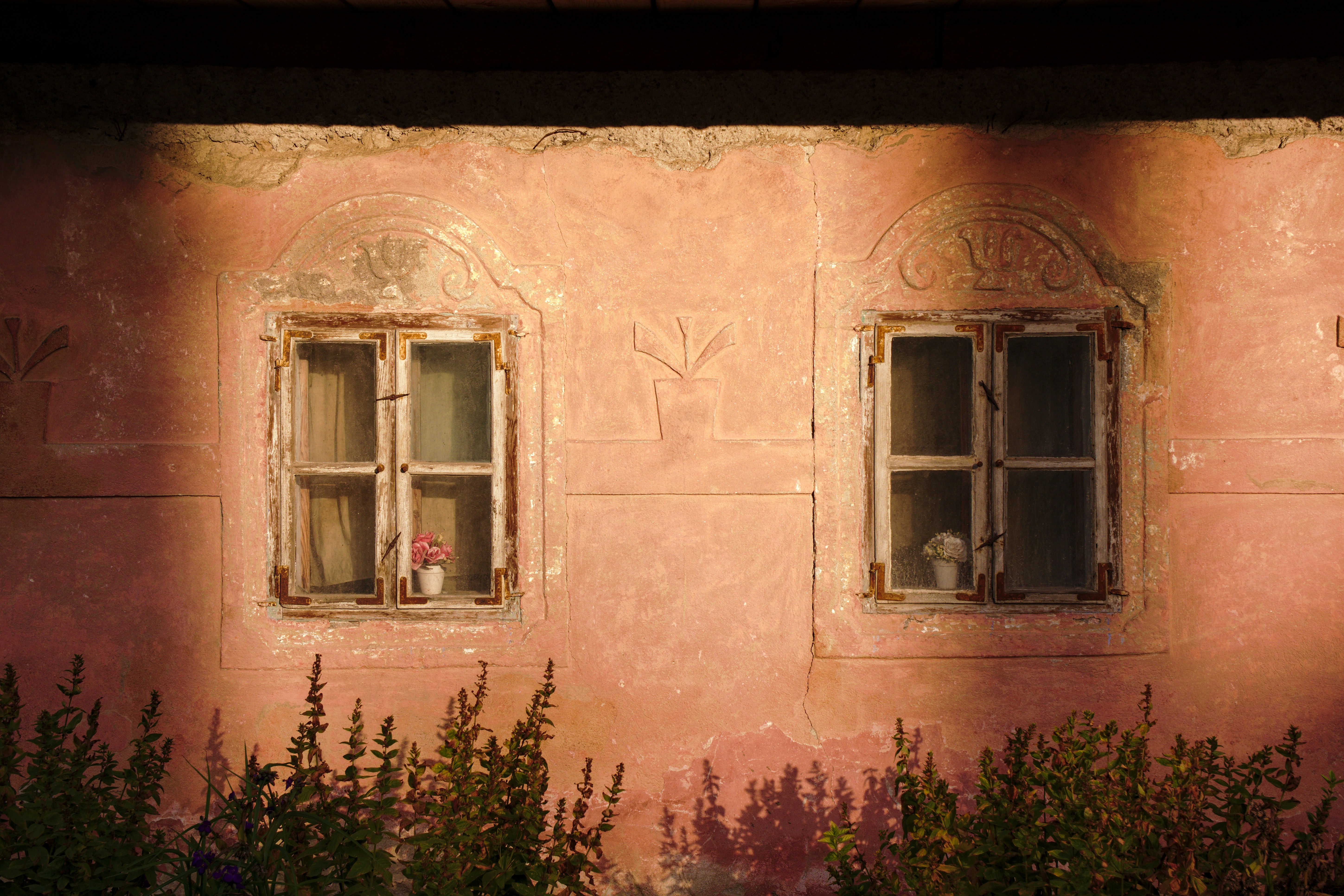 a pink building with two windows and plants in front of it
