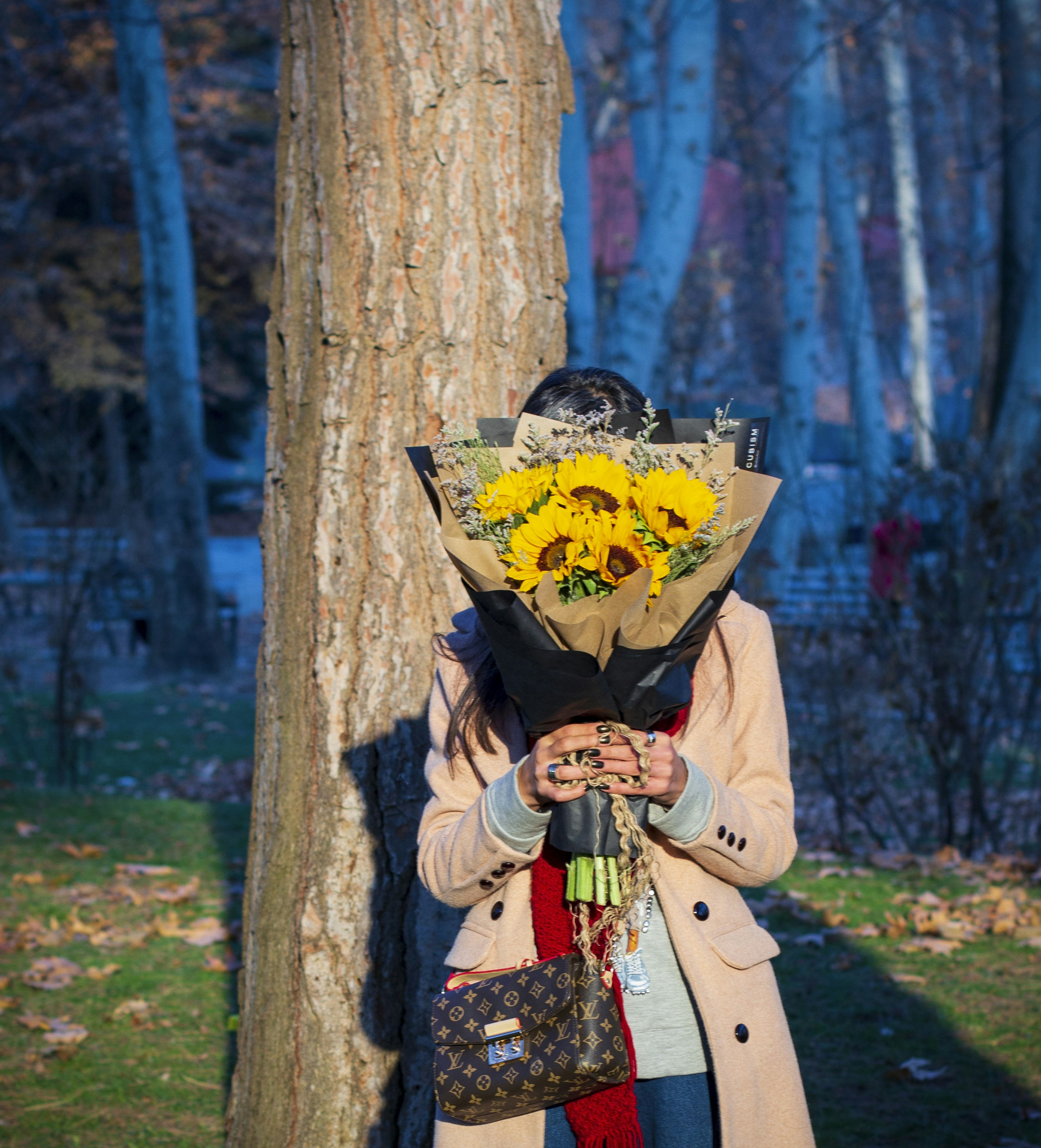 Sunflowers Veiled by a Quiet Face in Blue Hour