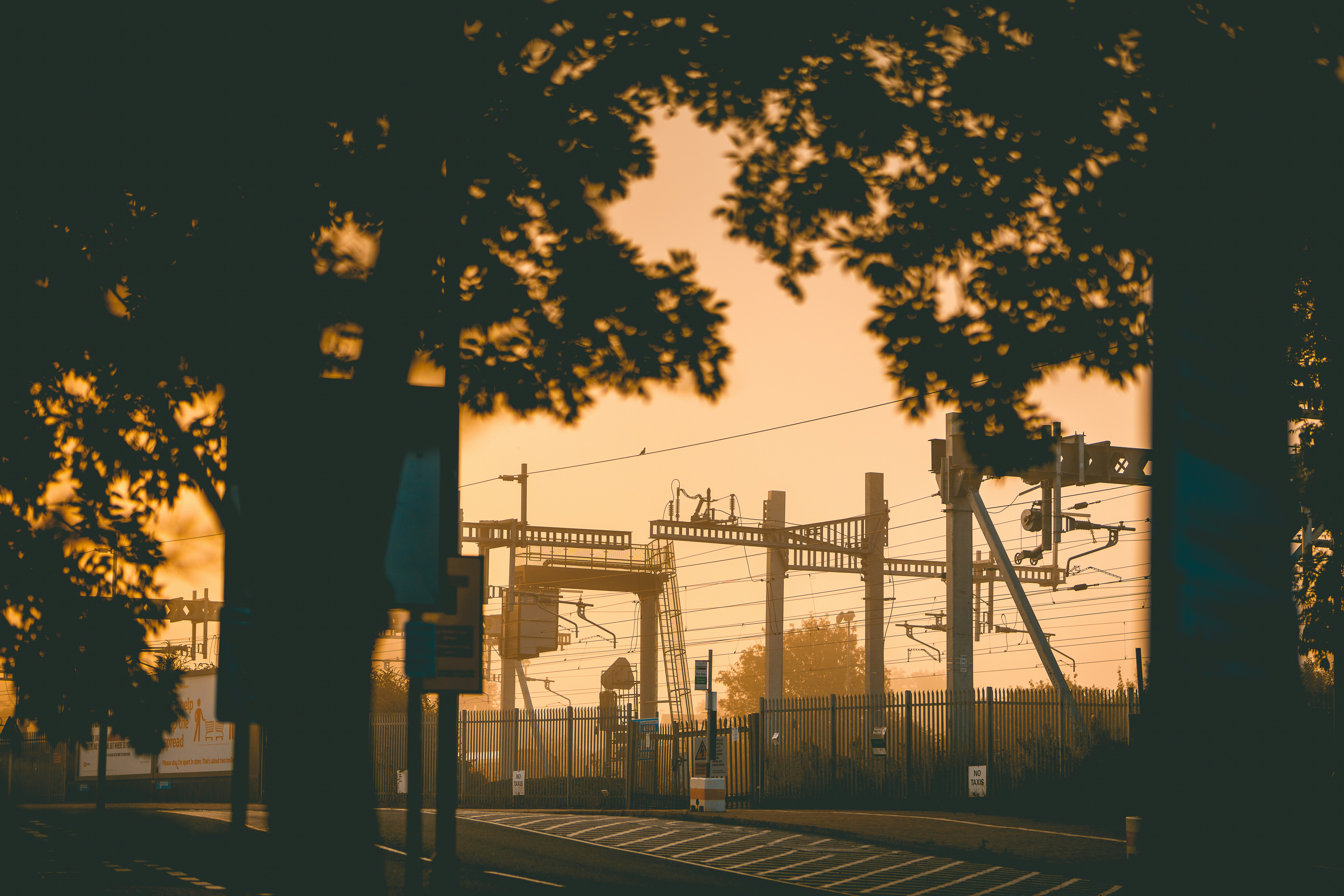Train tracks framed by silhouetted trees at sunset, with power lines in the background.