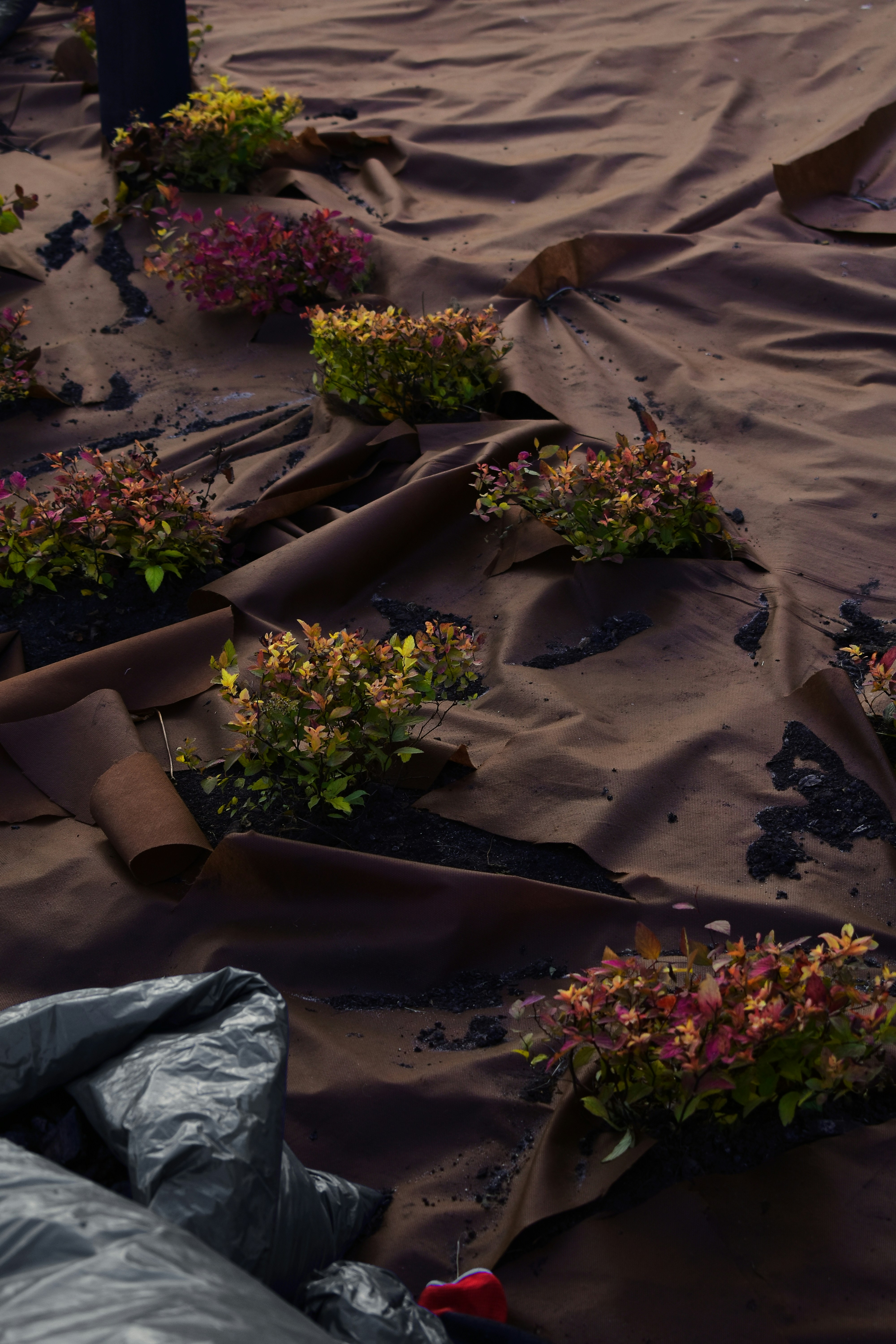 a bunch of flowers that are sitting on a table