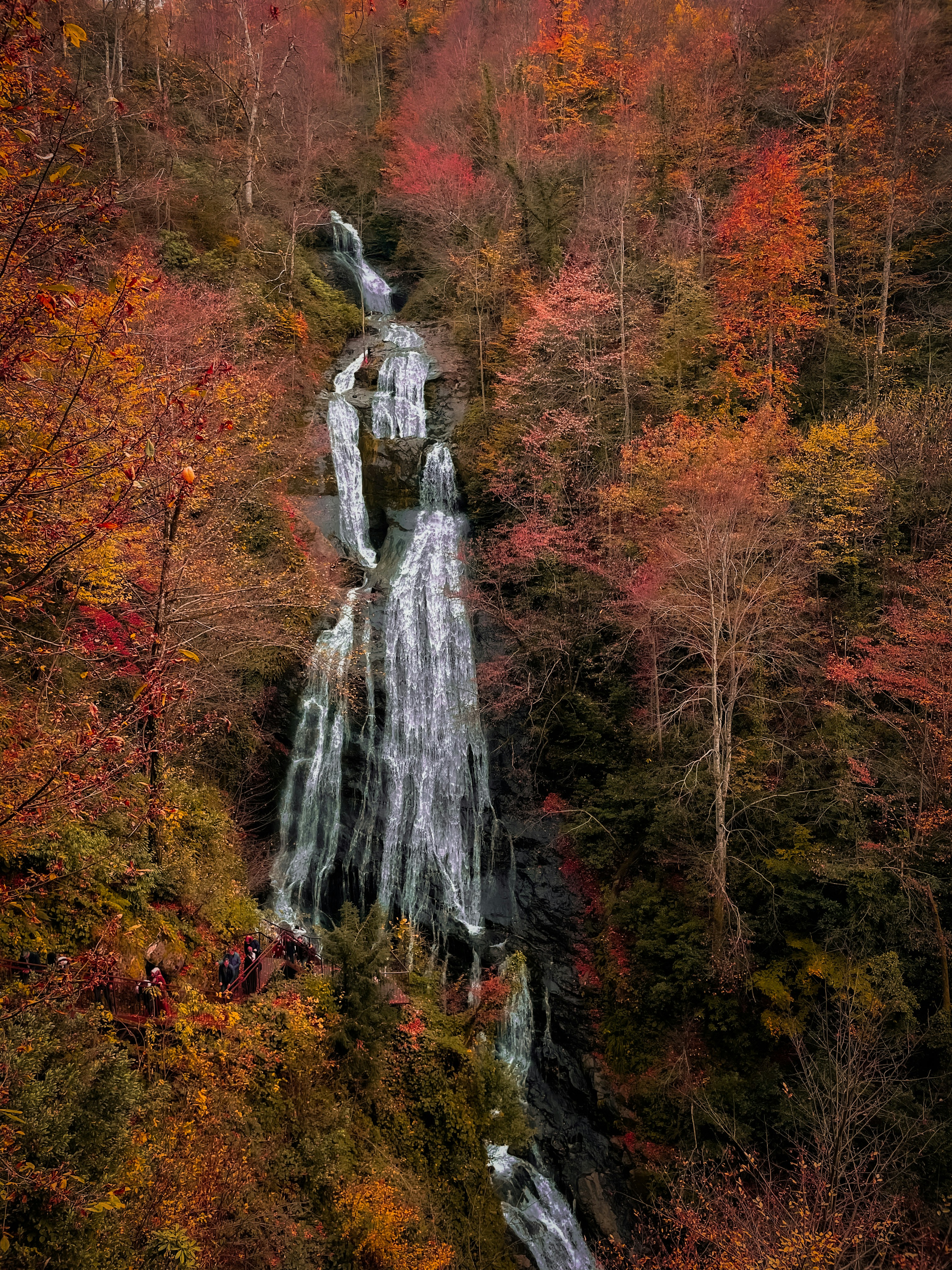 a waterfall in the middle of a forest
