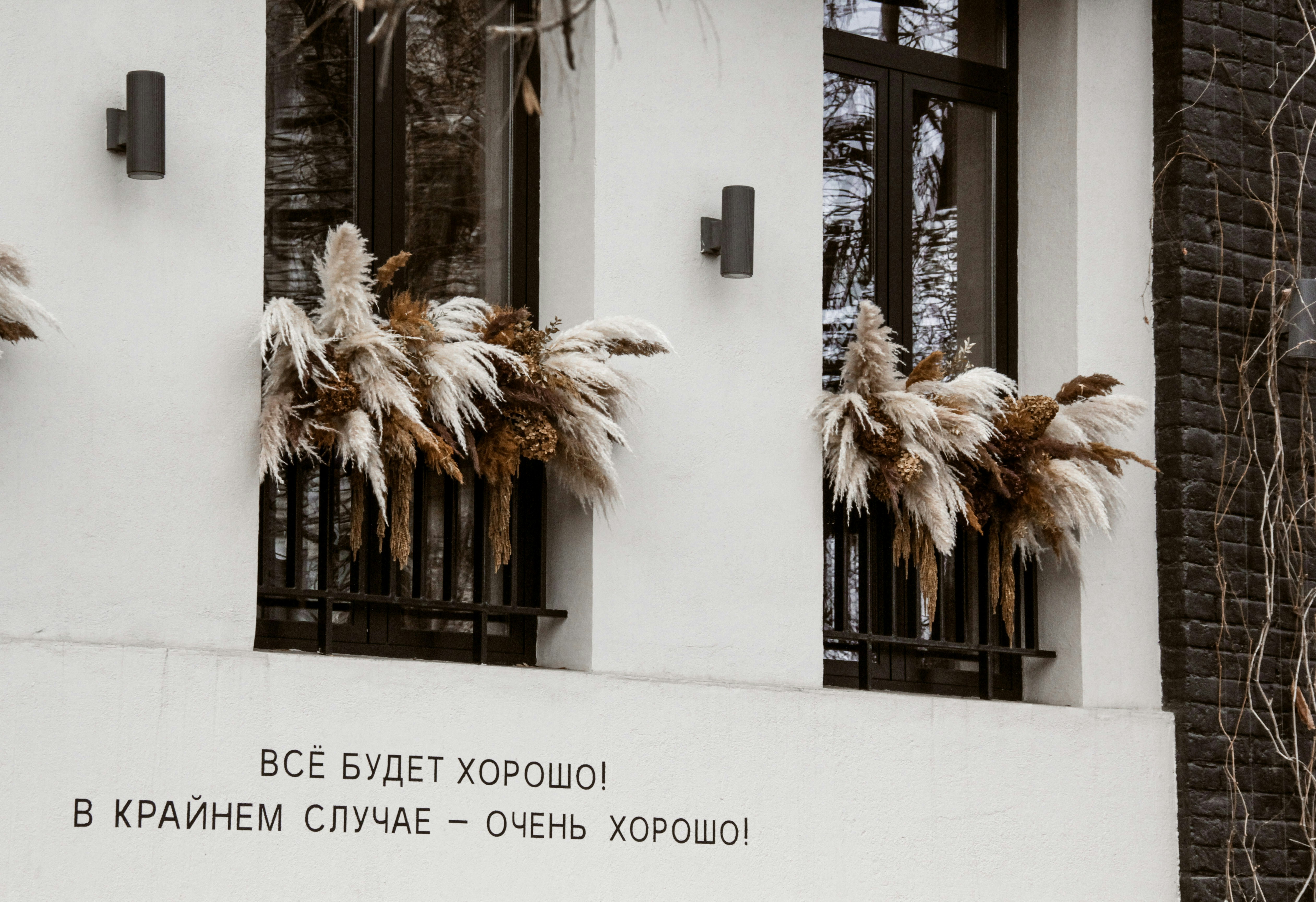 Pampas Garlands Framing a Quiet Message on a White Facade