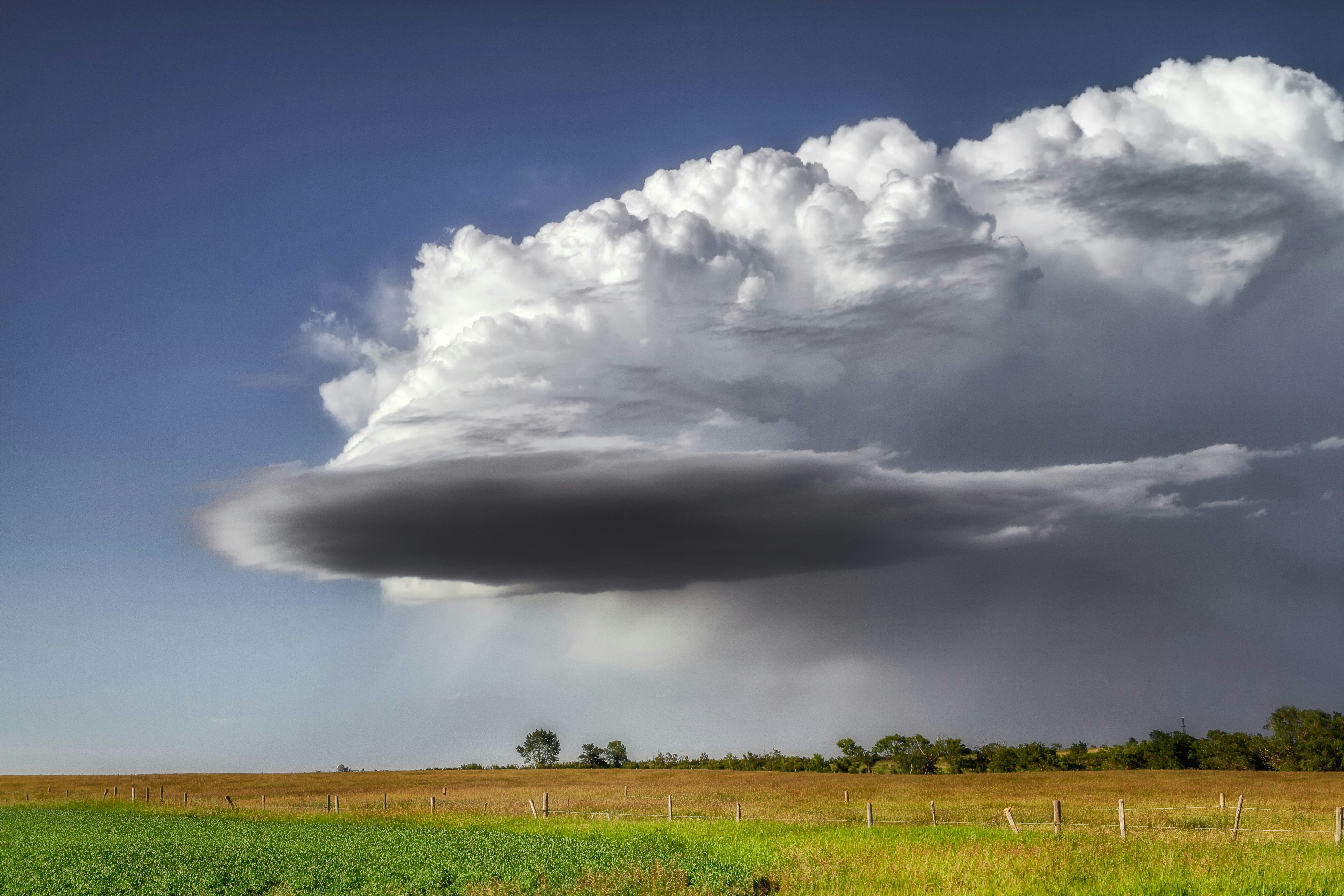 Large, dramatic cloud hovers over a sunlit field with a clear blue sky.