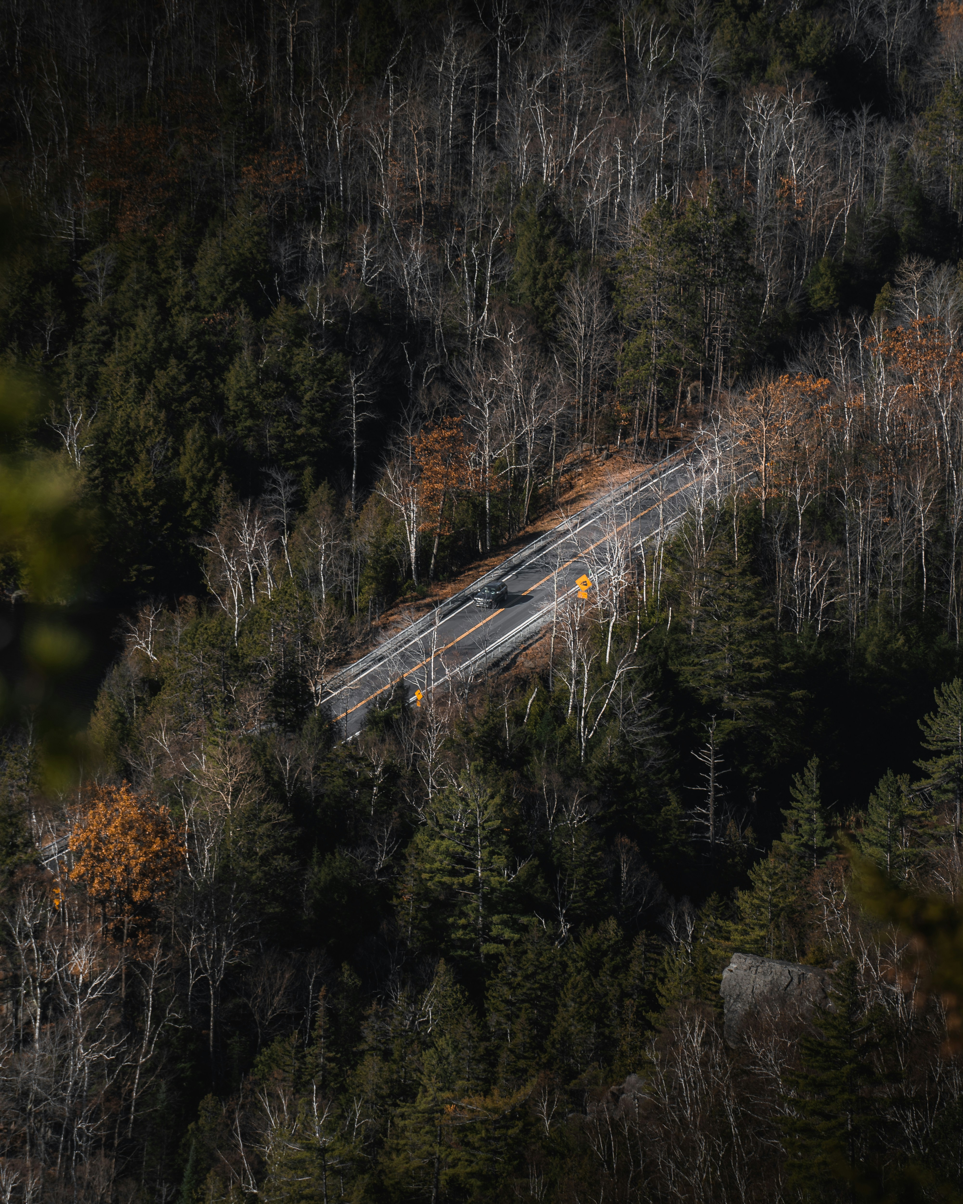 Winding Ribbon Through Winter Pines: An Aerial Road Through a Quiet Forest