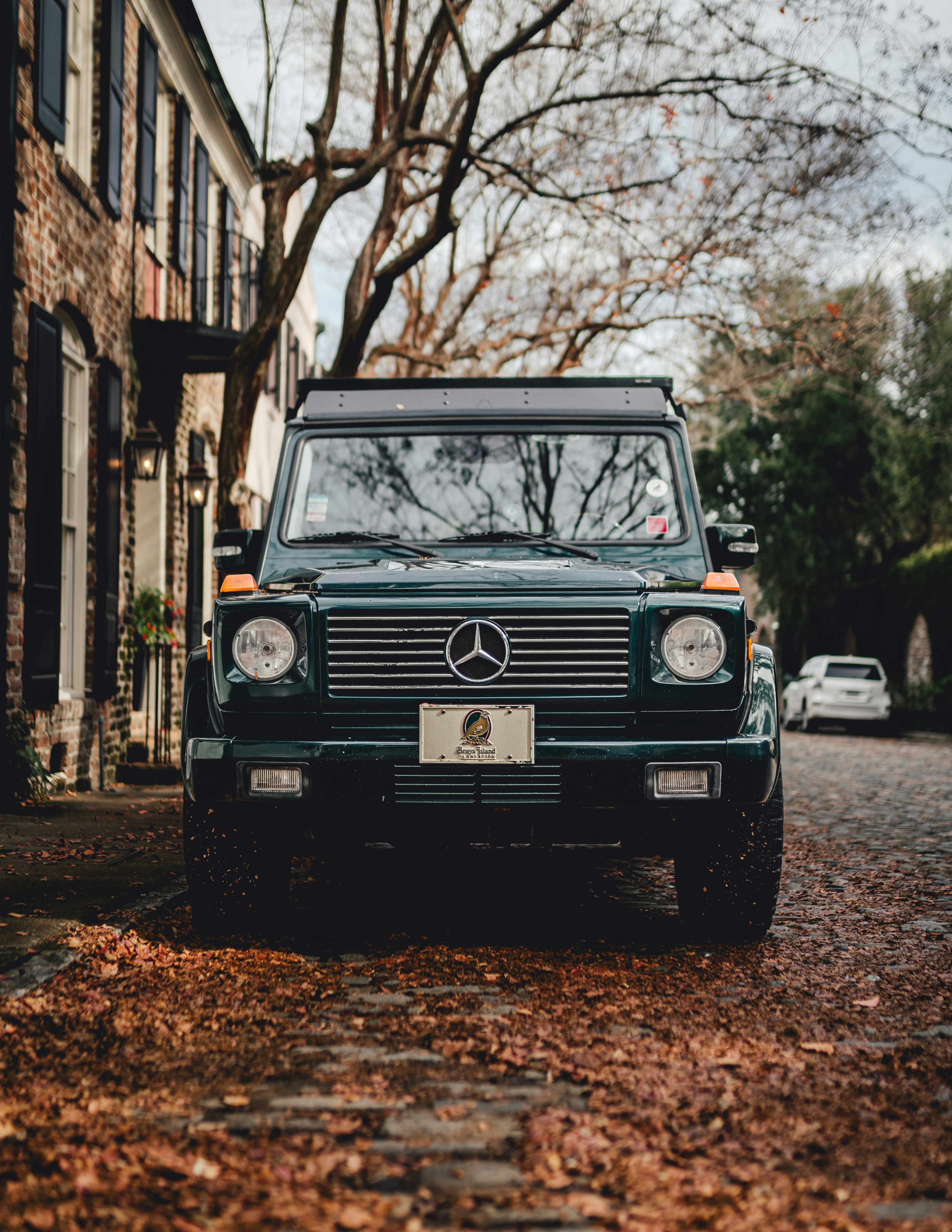 Front-Row Classic: A Mercedes in Autumnal Street Calm