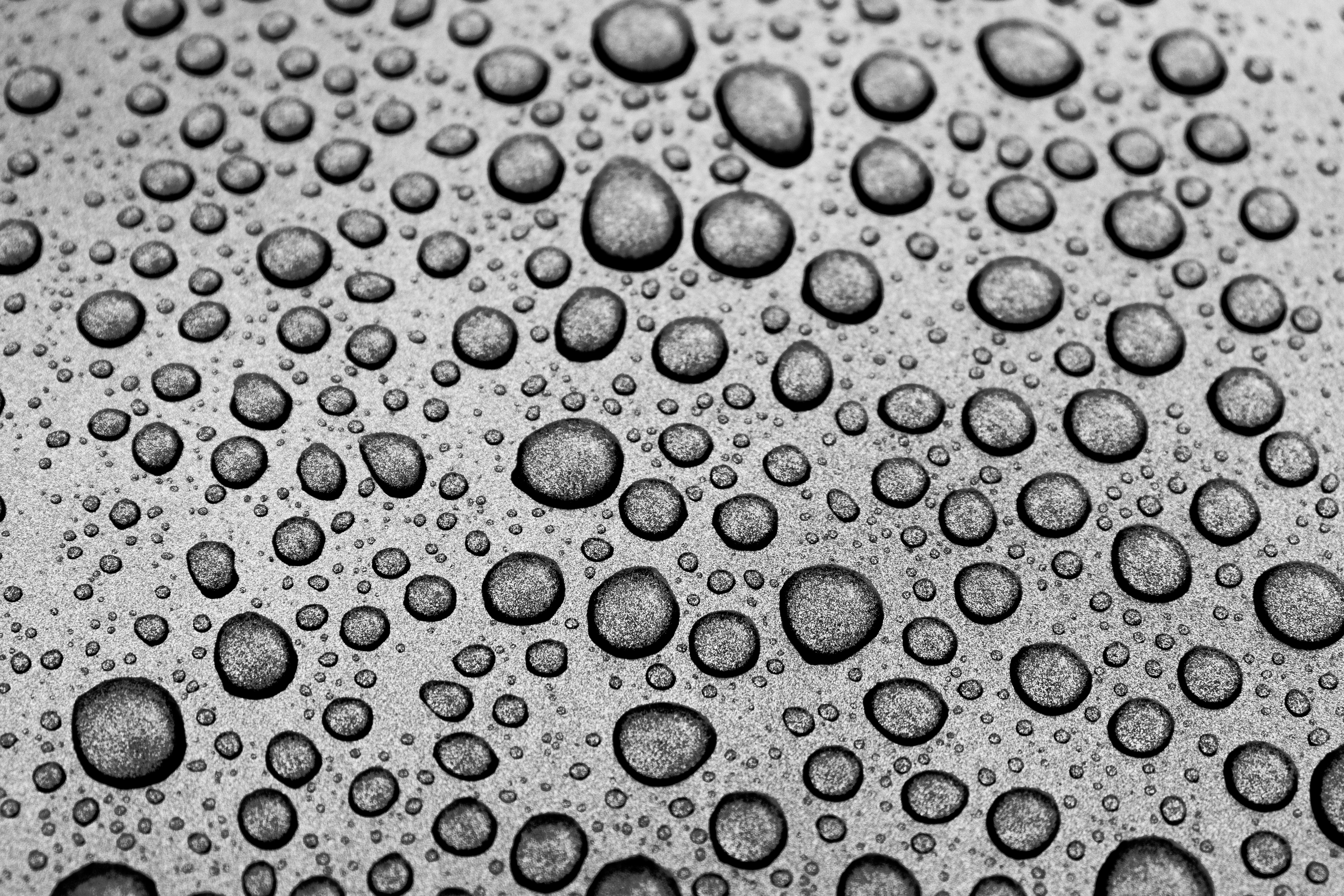 Manoj Seenivasan (@manuseenu) | Unsplash Photo Community