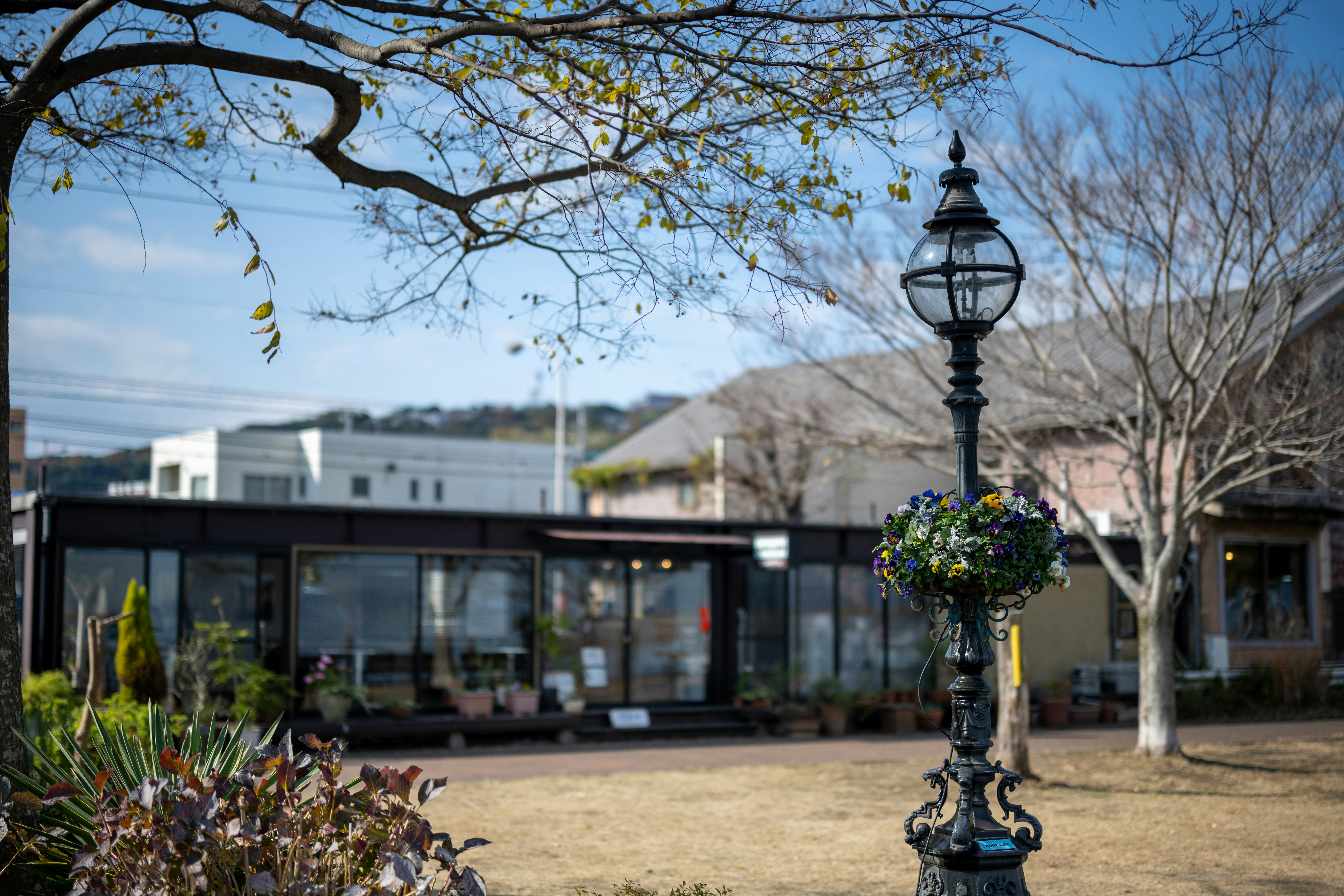 A lamp post with a bunch of flowers on it photo – Free Blue Image on ...