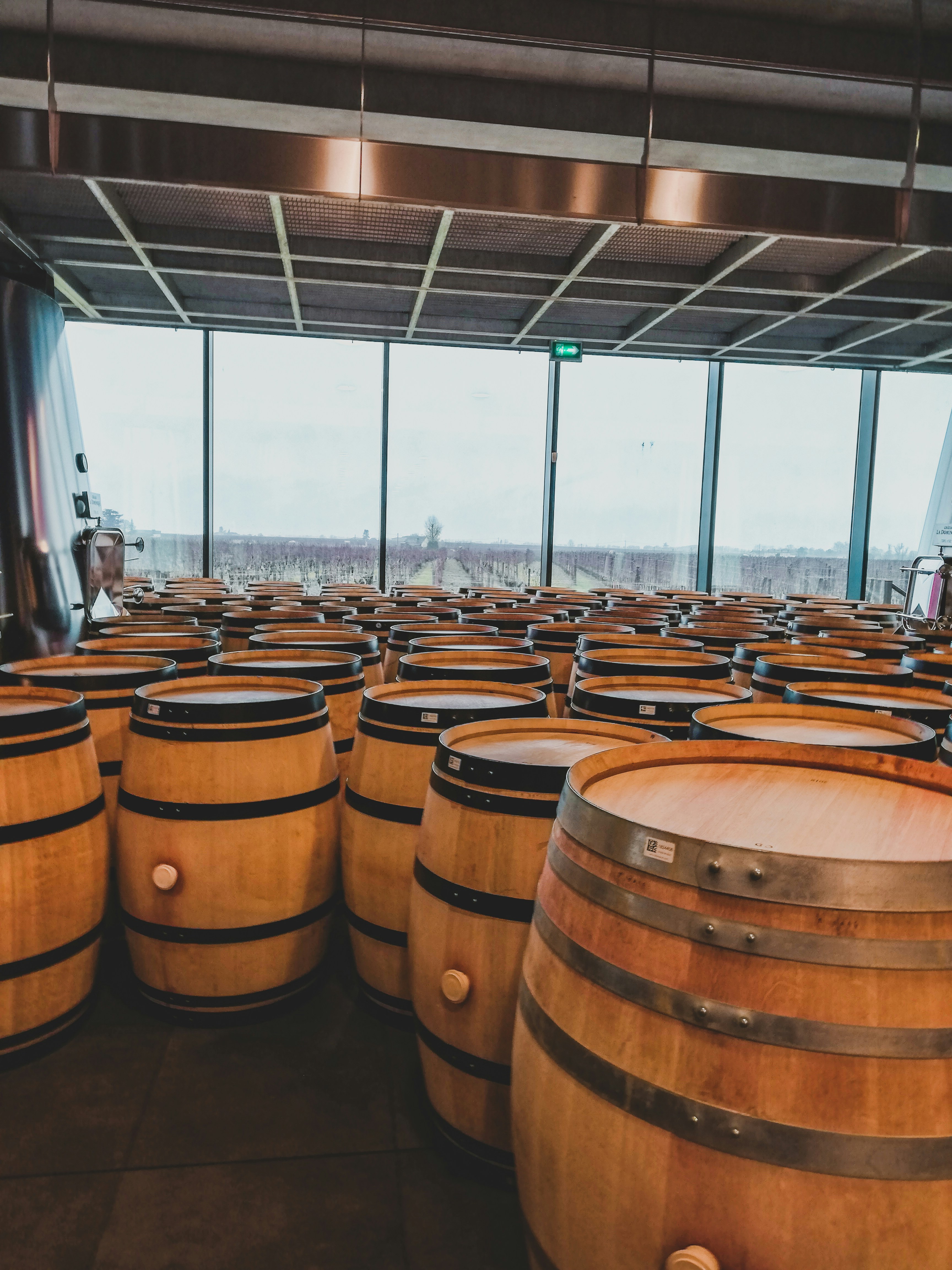Oak Aisles Under Glass: Barrel Rows in Bright Winery Hall