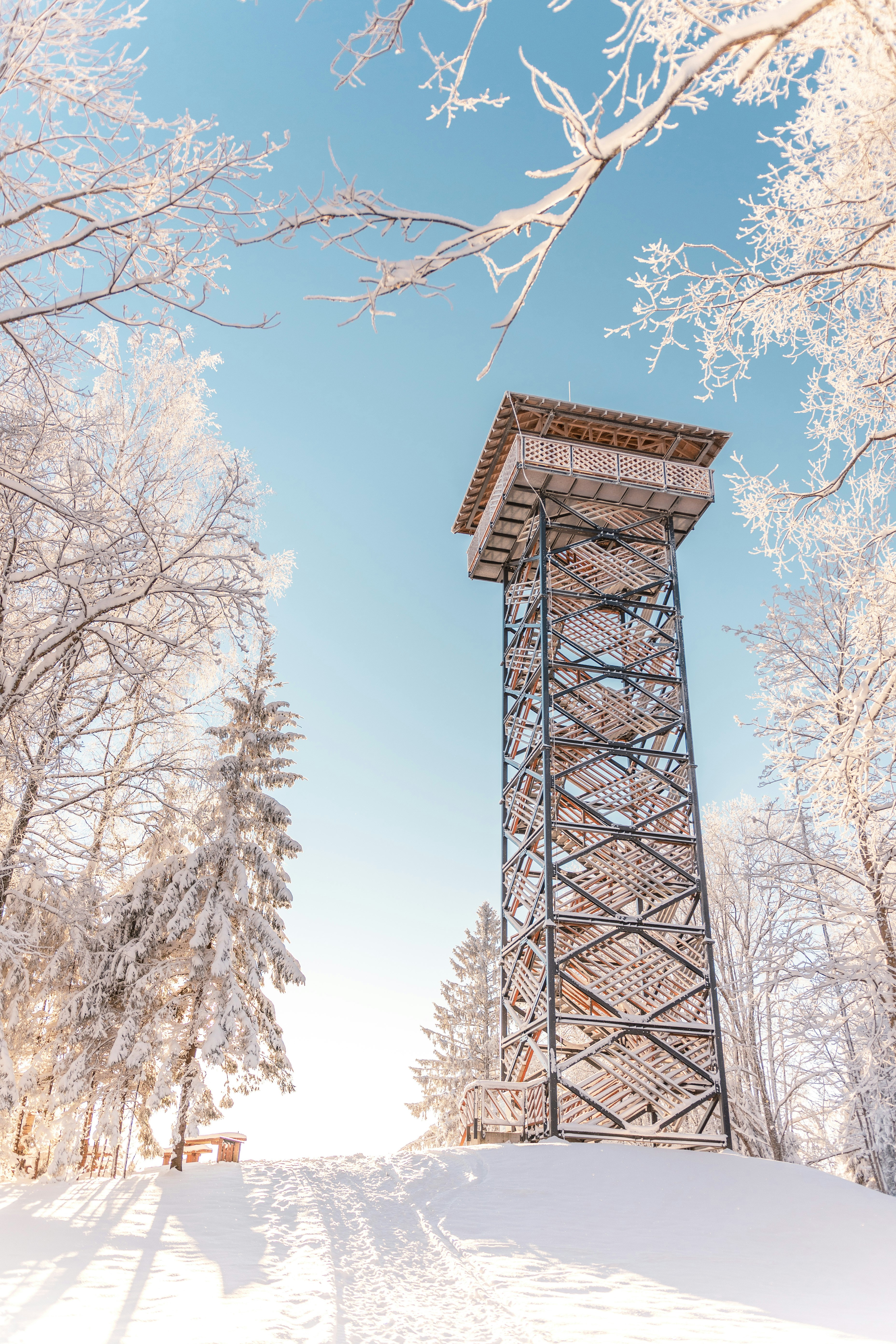 Icebound Sentinel: a lattice watchtower rises above a snow-dusted forest under a pale blue sky