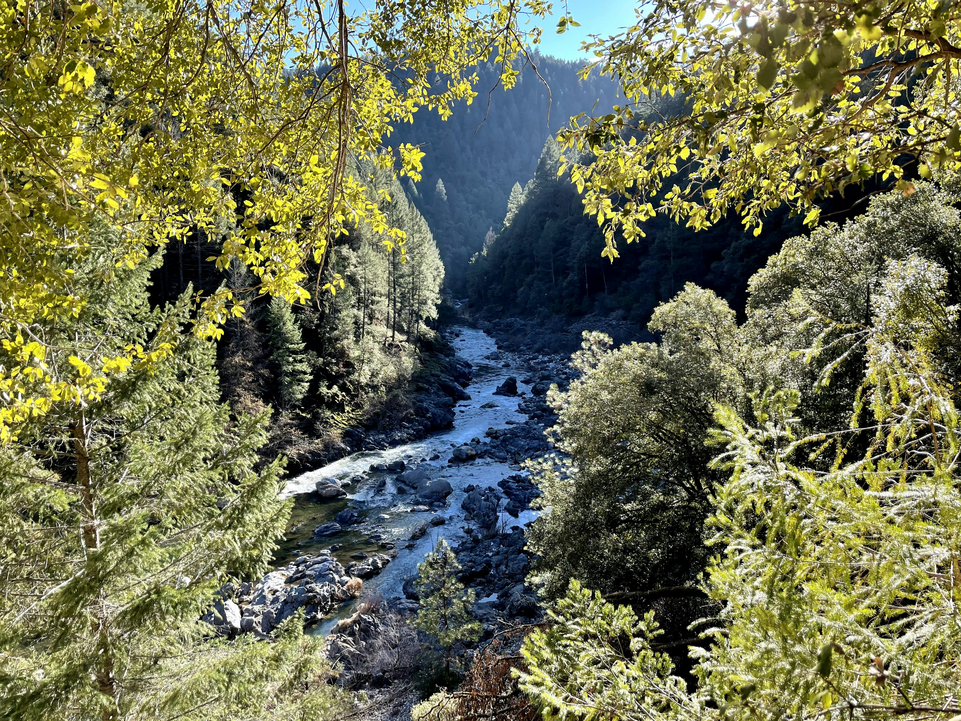 Pfeiffer Falls & Valley View Trail (2026) – Best of TikTok, Instagram ...
