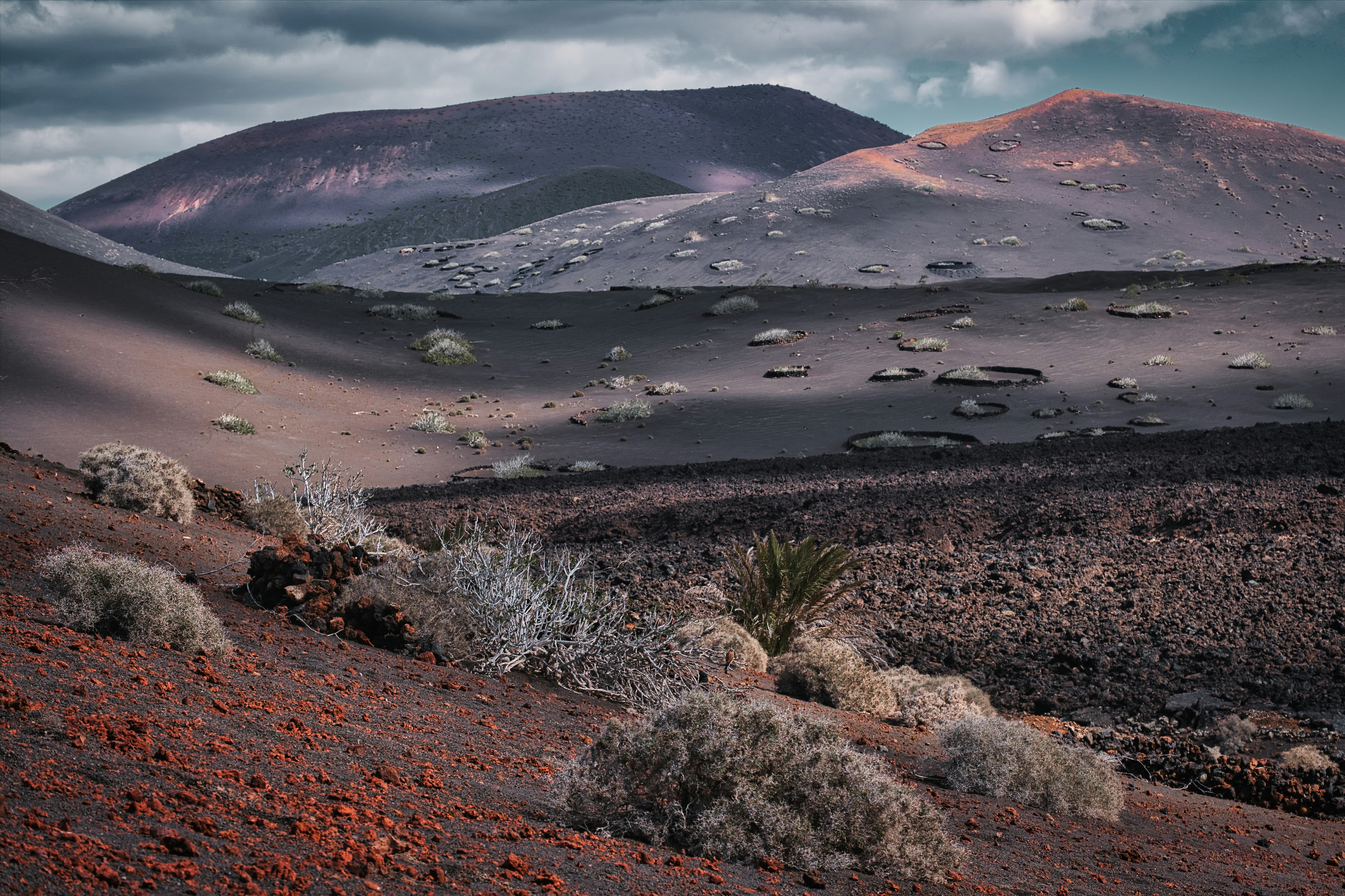 Vast volcanic terrain with textured soil and scattered vegetation under a dramatic sky. The interplay of light and shadow enhances the rugged beauty of the landscape.