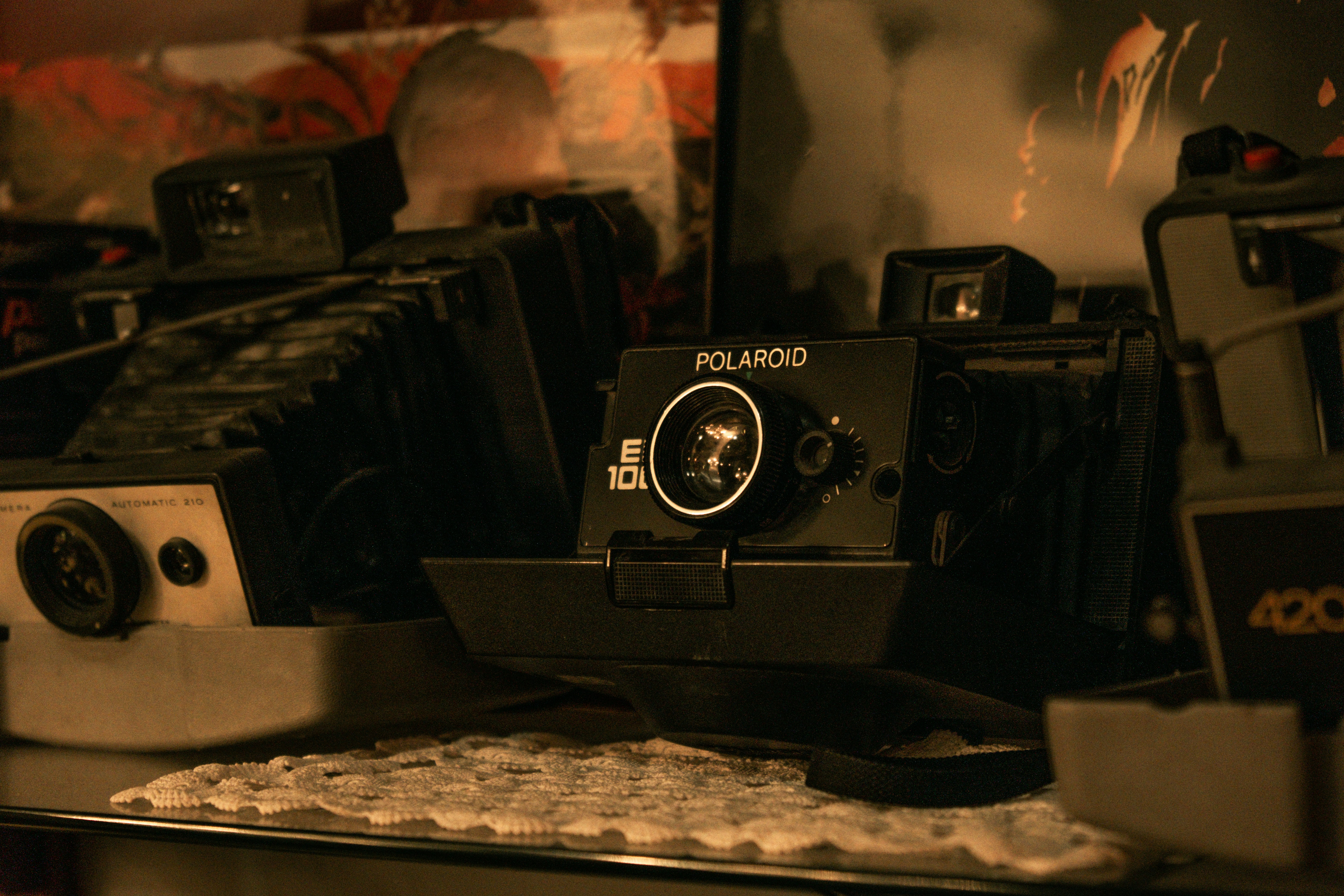 Polaroid Revival: A Quiet Row of Vintage Instant Cameras on Display