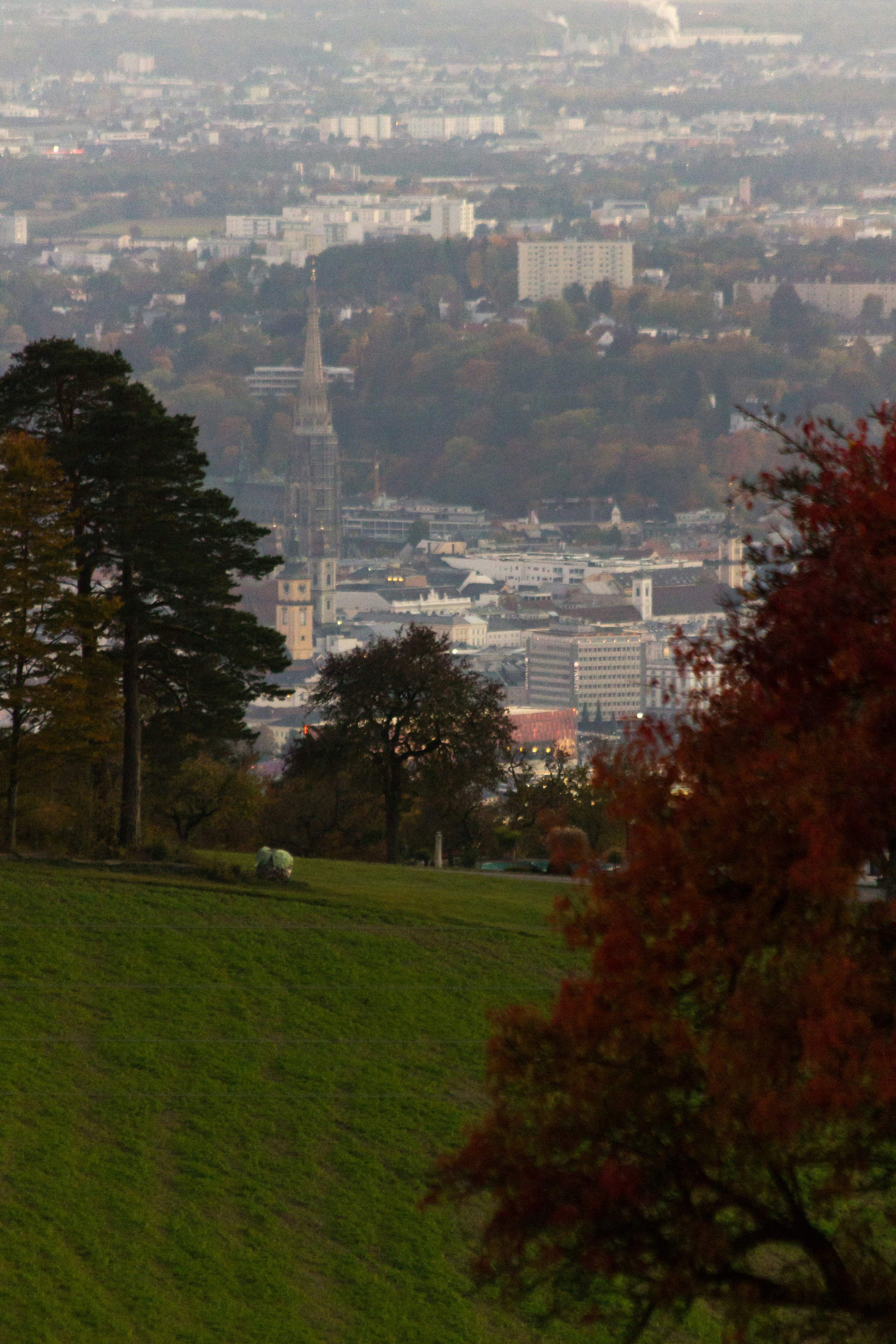 A distant view of a city skyline framed by autumn foliage, highlighting a prominent steeple amidst the urban landscape.