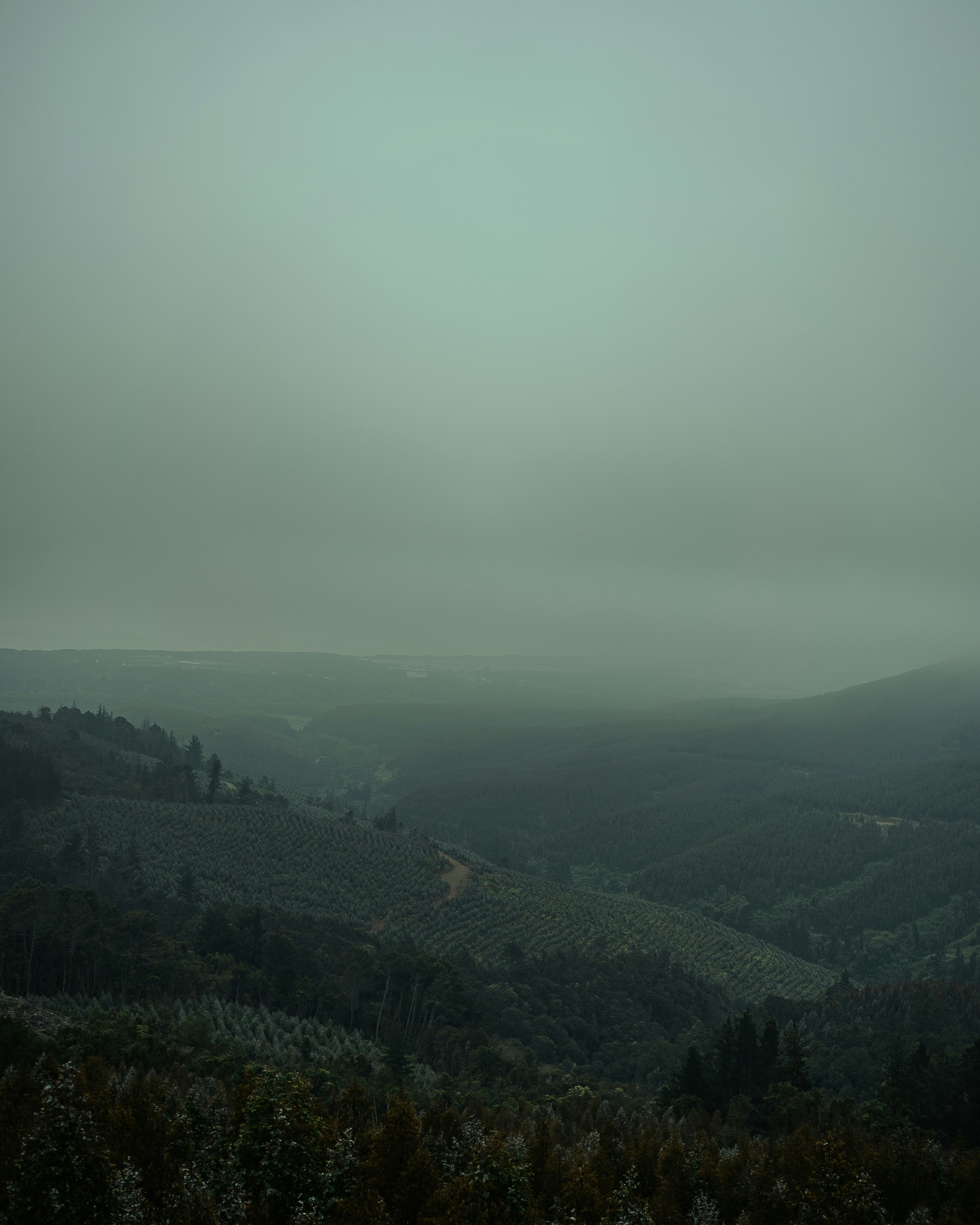 A serene landscape of rolling hills blanketed in fog, revealing a patchwork of greenery and winding paths. The atmosphere evokes a sense of tranquility and mystery.