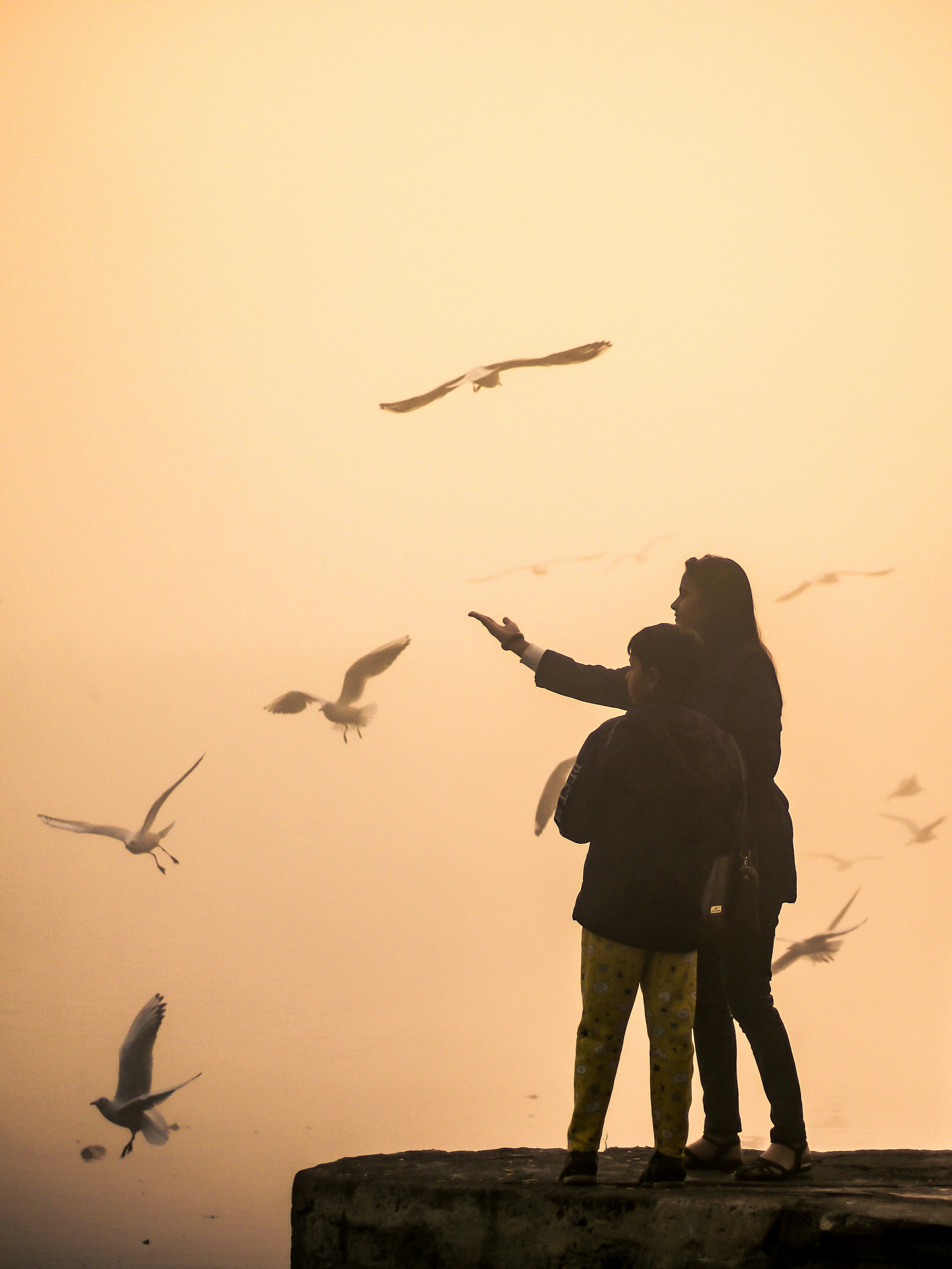 Silhouette at Dusk: Two Figures Beside a Seagull-Shaped Horizon