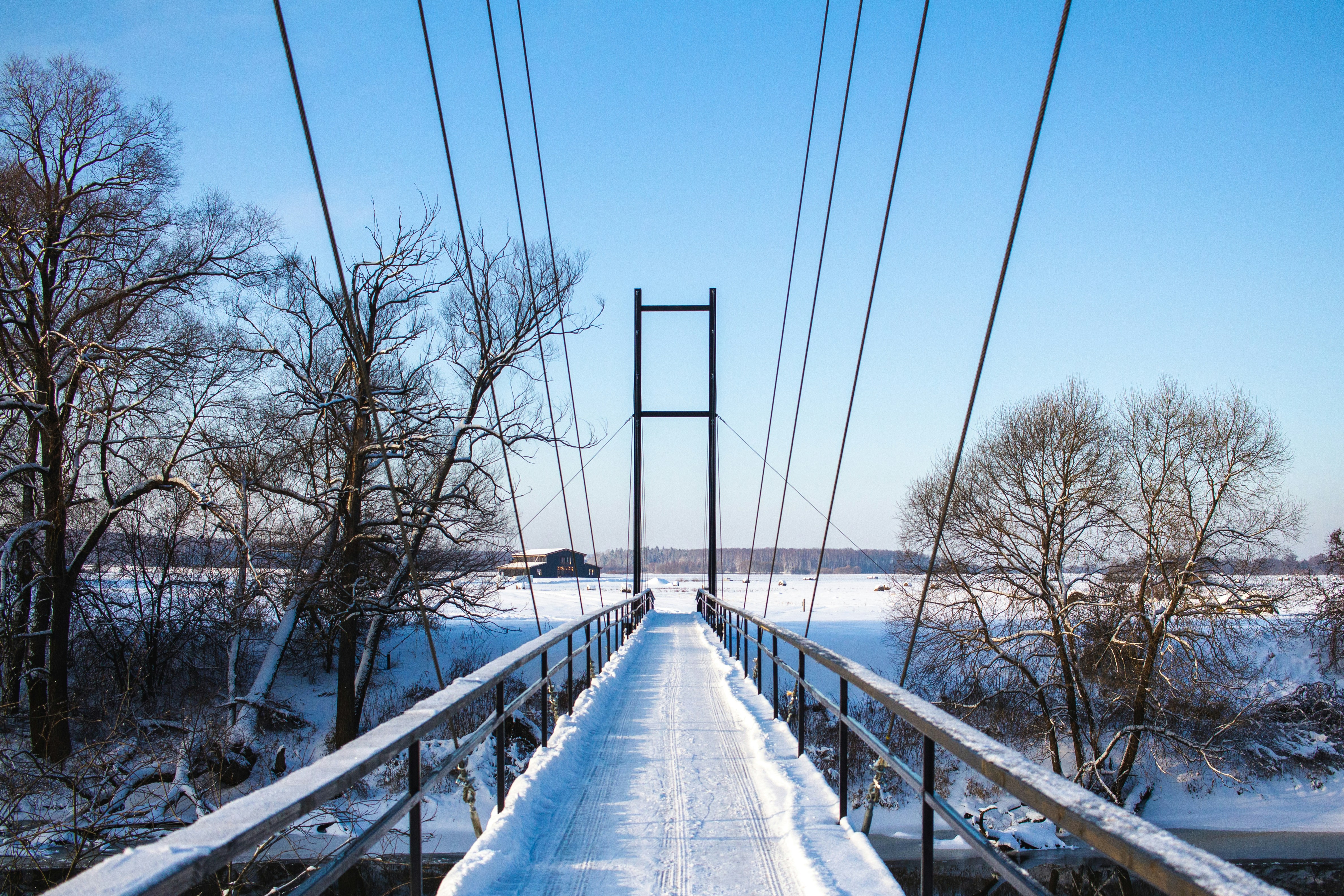 Snowbound Suspension Bridge: A Vanishing Point Walk Across the Frozen River