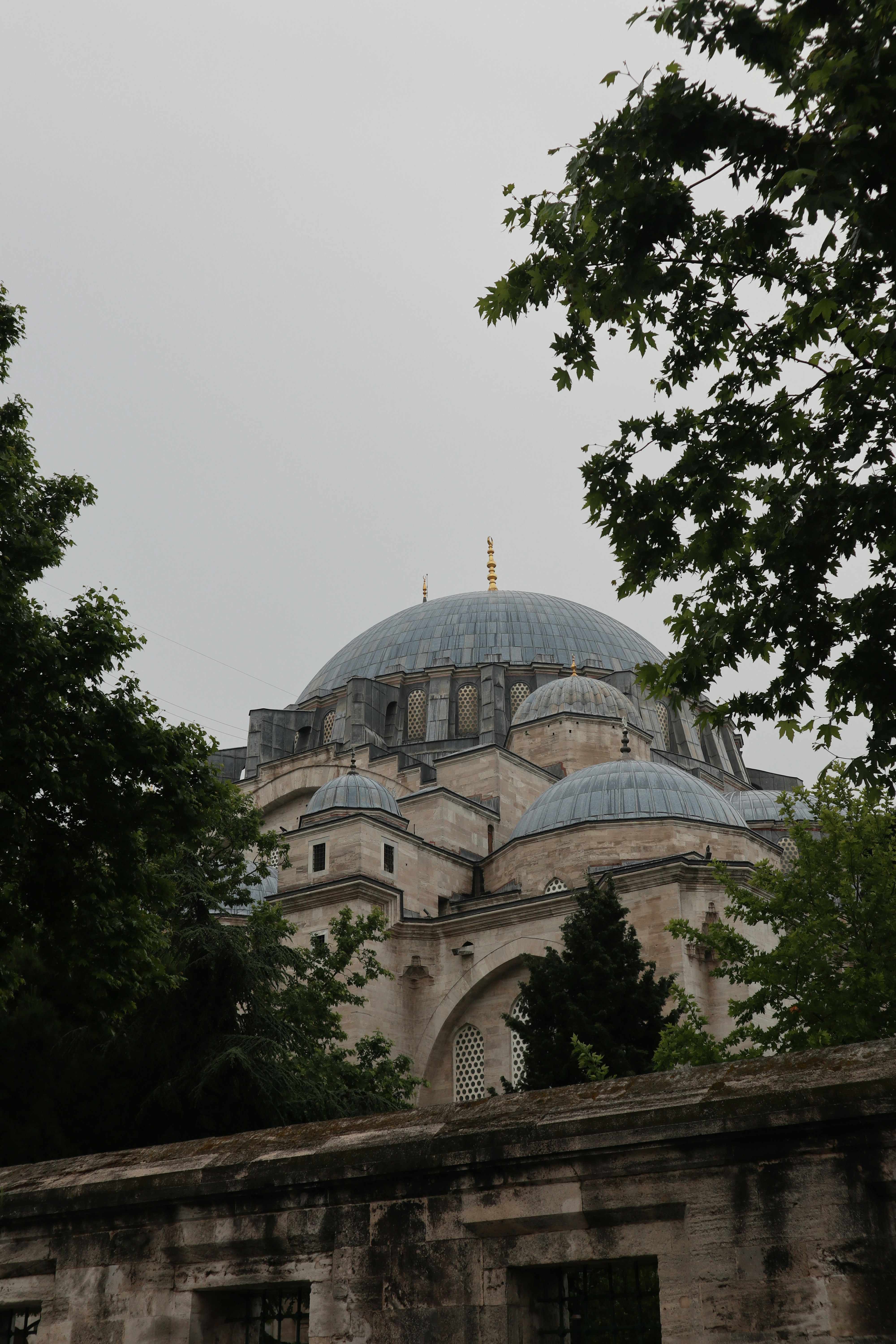 Domed Quietness: A Historic Mosque Framed by Green Canopy