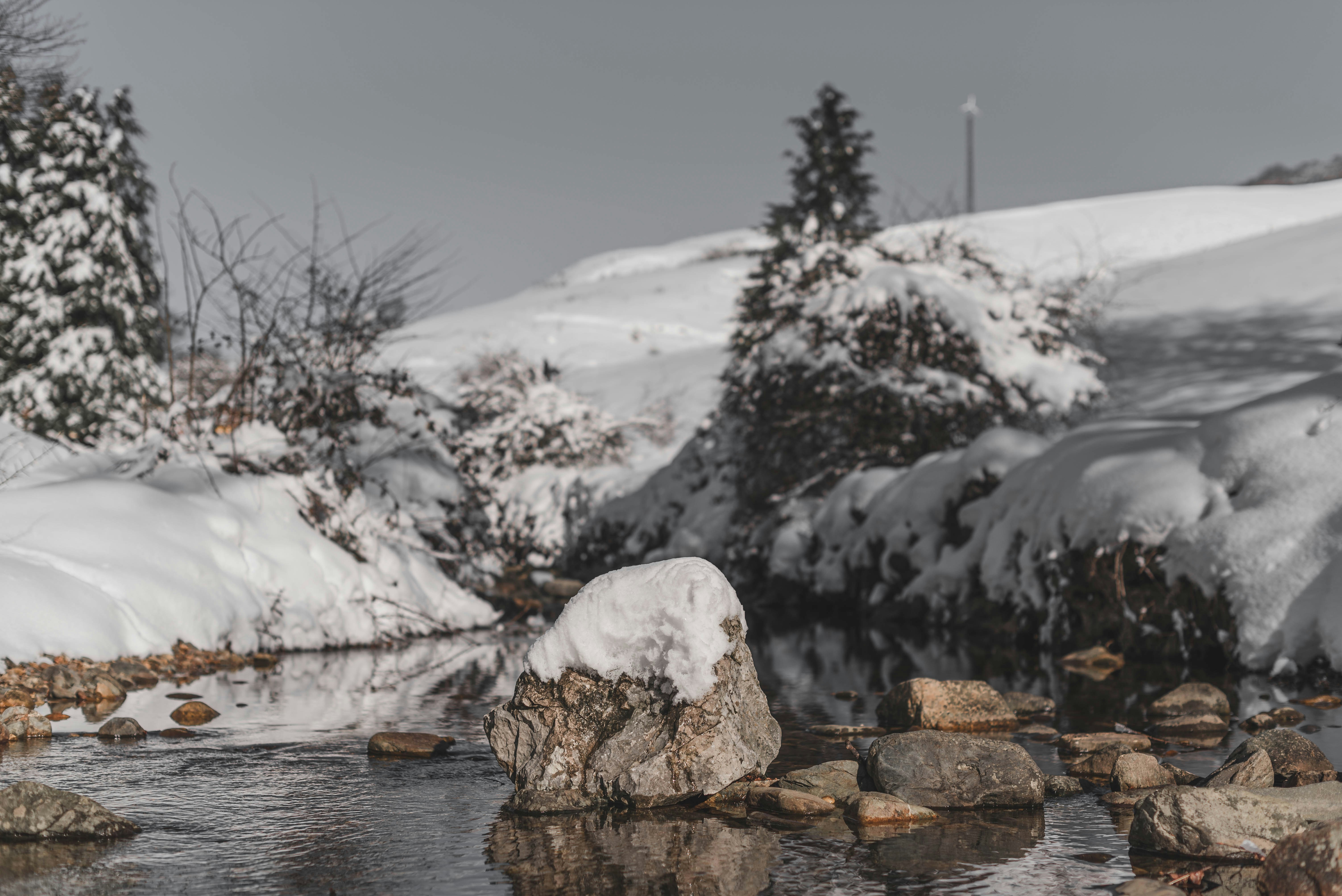 Snowbound Streambed: Quiet Rocky Foreground with Snowy Dunes