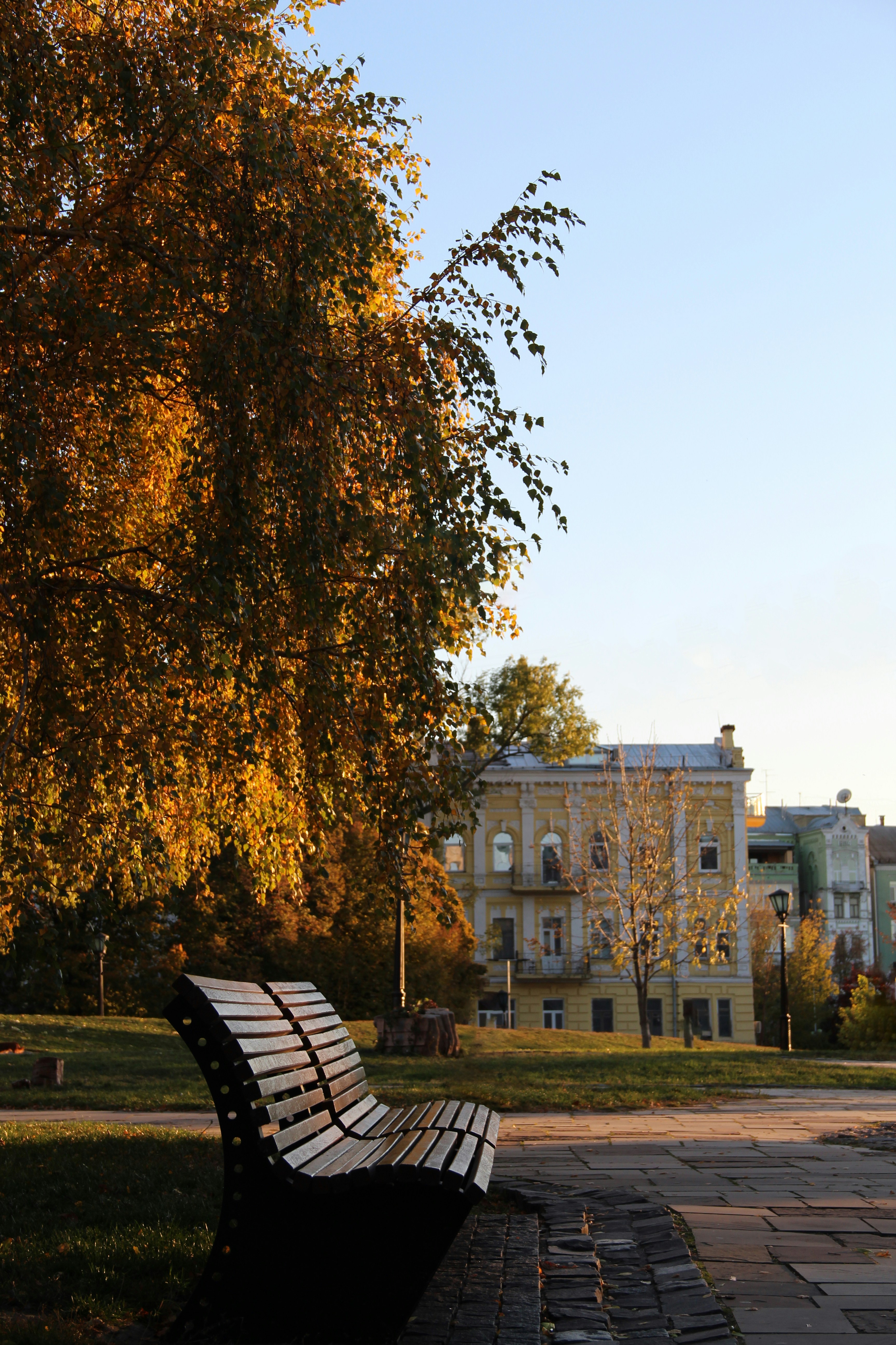 A solitary bench beneath golden foliage, framed by historic buildings bathed in warm light. The scene evokes a peaceful moment in an urban park.