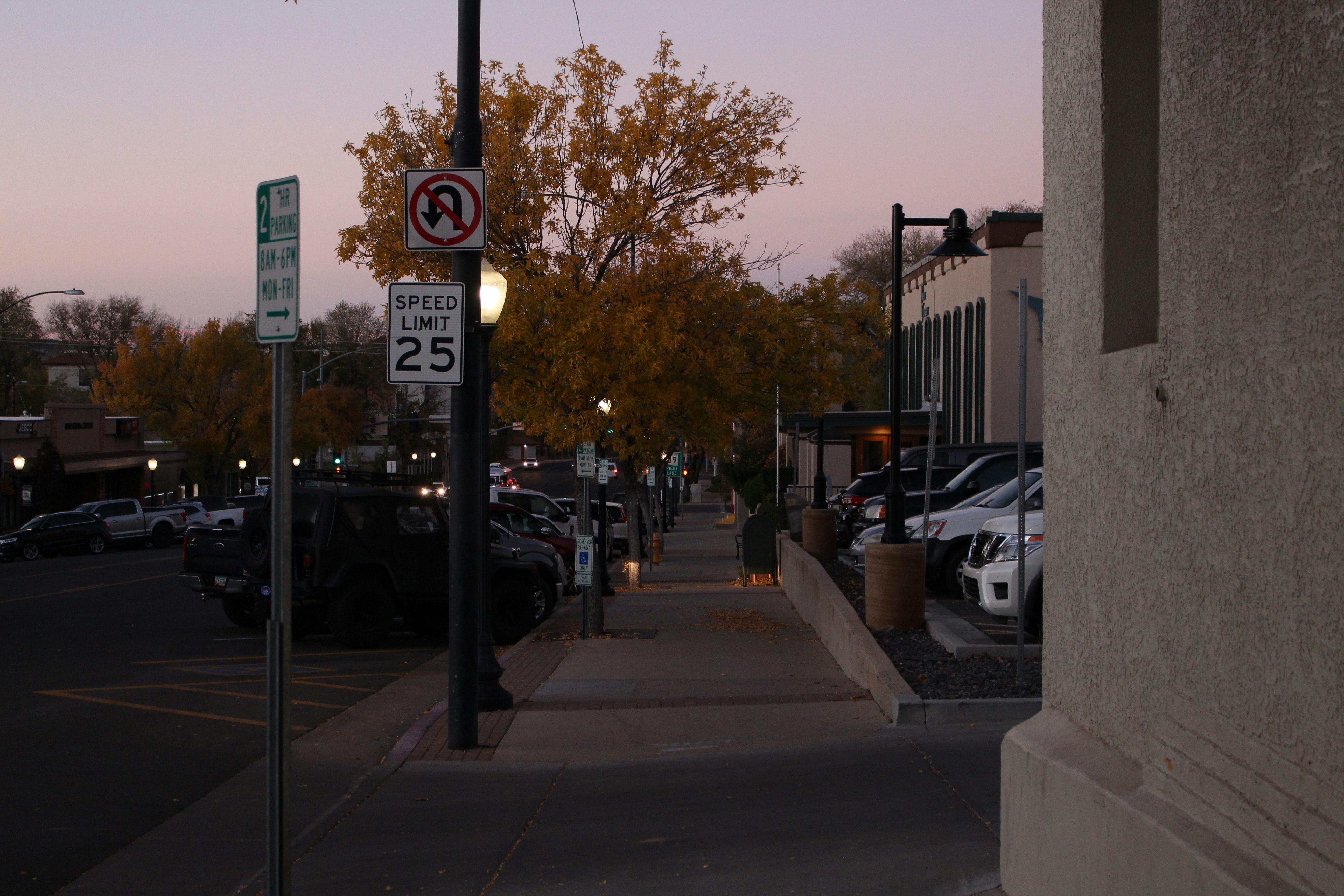 Twilight Stroll Along the Quiet Boulevard