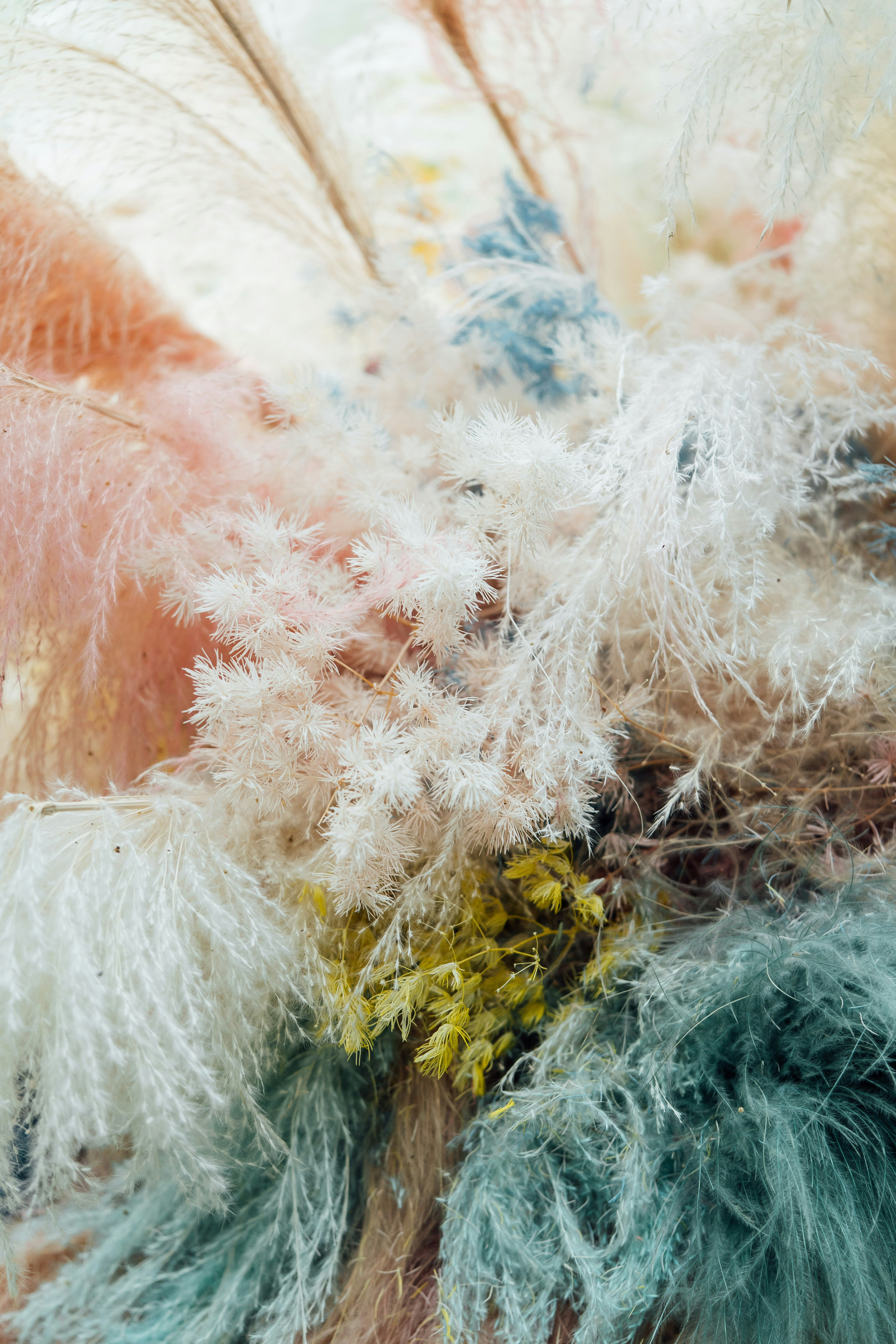 Pastel Plume Still Life: Frosted Sprigs in Soft Focus