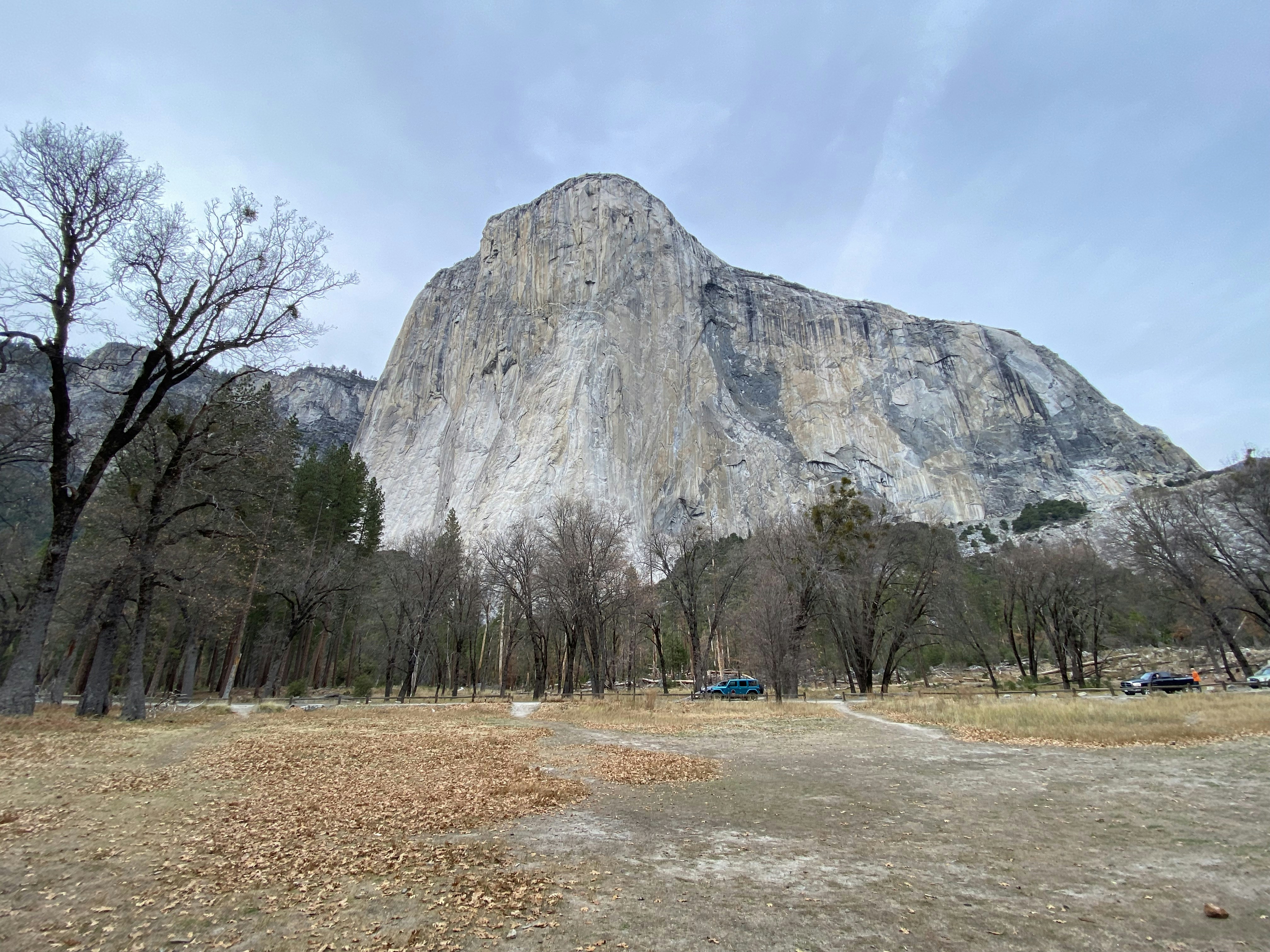 Granite Sentinel Rising Over a Leaf-Littered Clearing